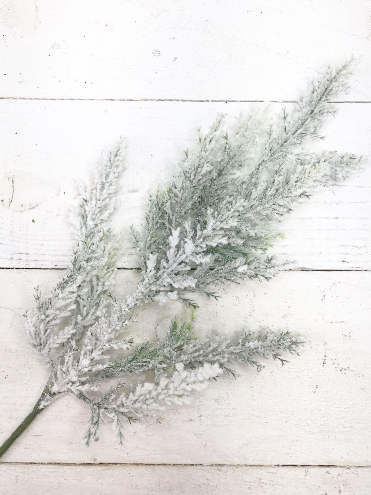 Snow Covered Cedar Stem - Kelea's Florals