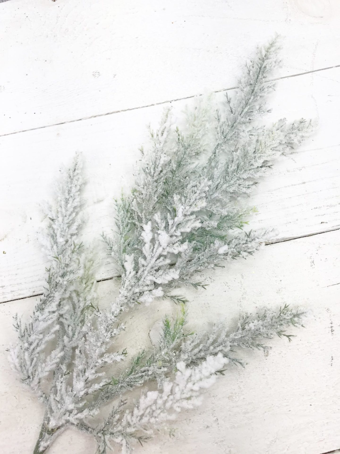 Snow Covered Cedar Stem - Kelea's Florals