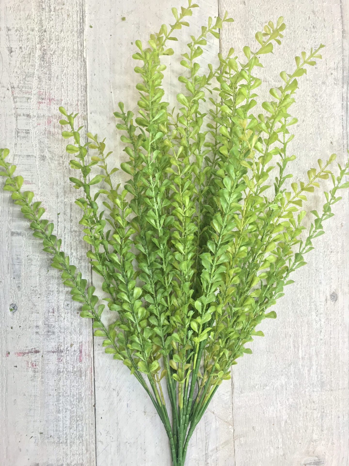 Green Mini Leaf Bush - Kelea's Florals