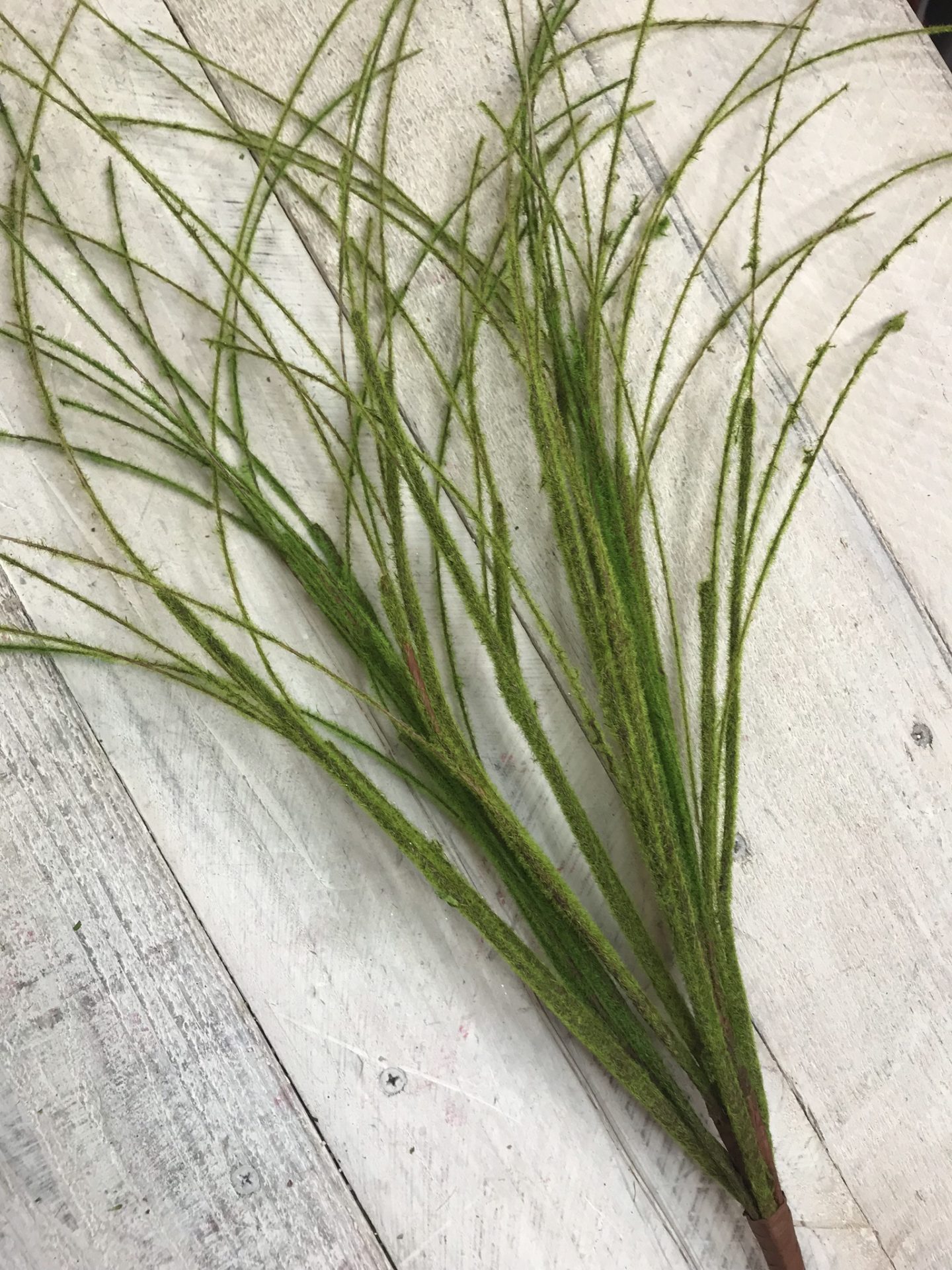 25IN Twig Bush - Kelea's Florals