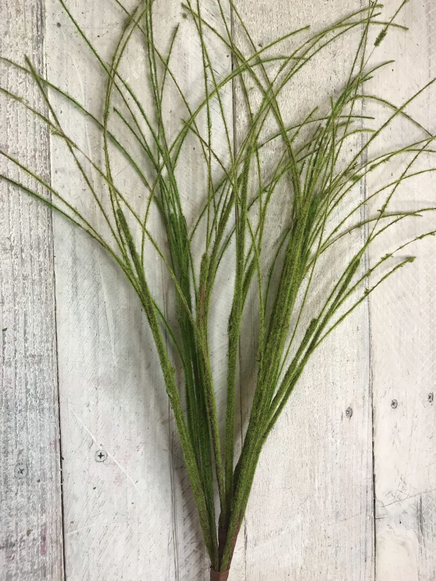 25IN Twig Bush - Kelea's Florals