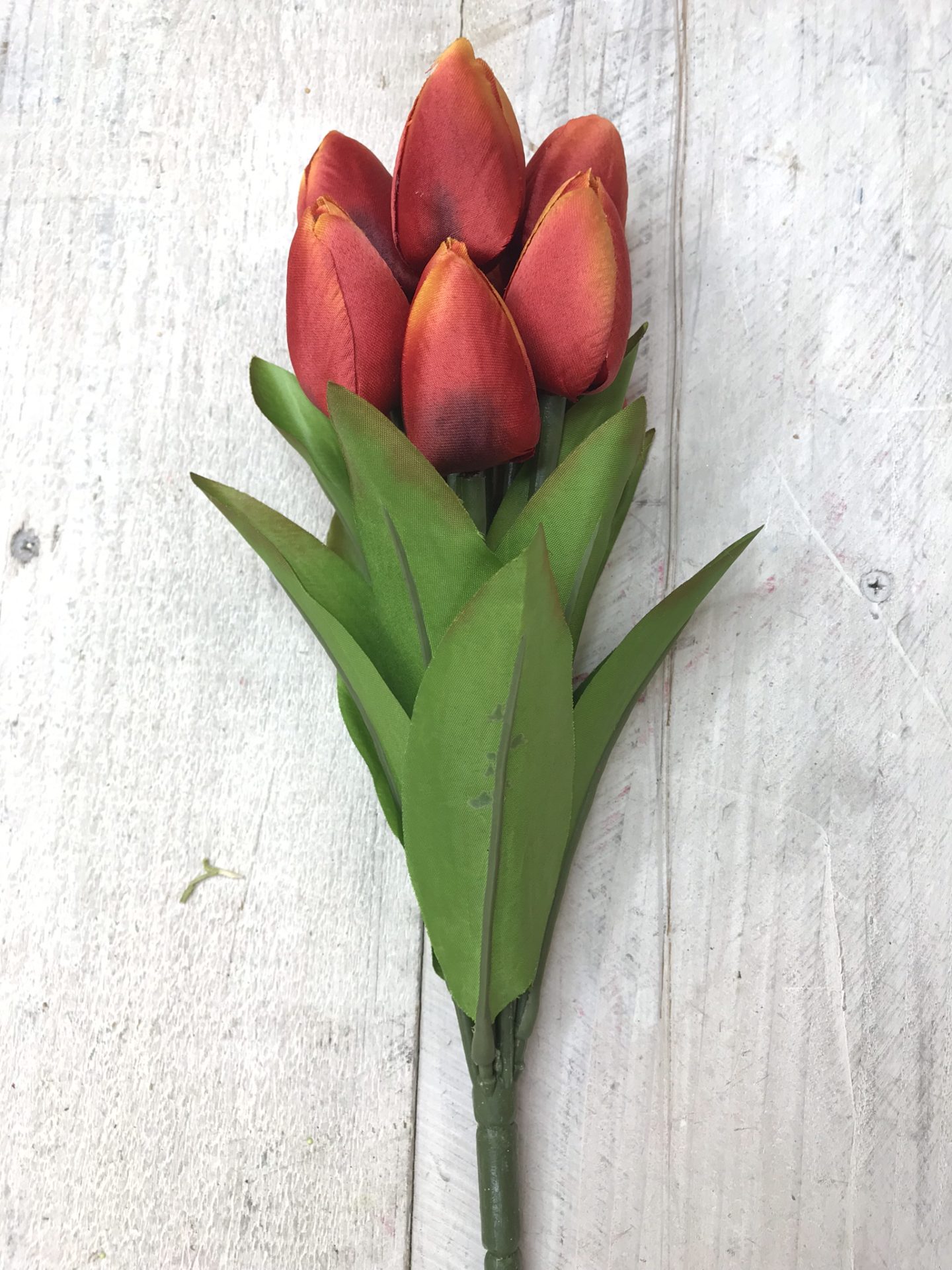 13" Orange Tulip Bush with 9 heads - Kelea's Florals