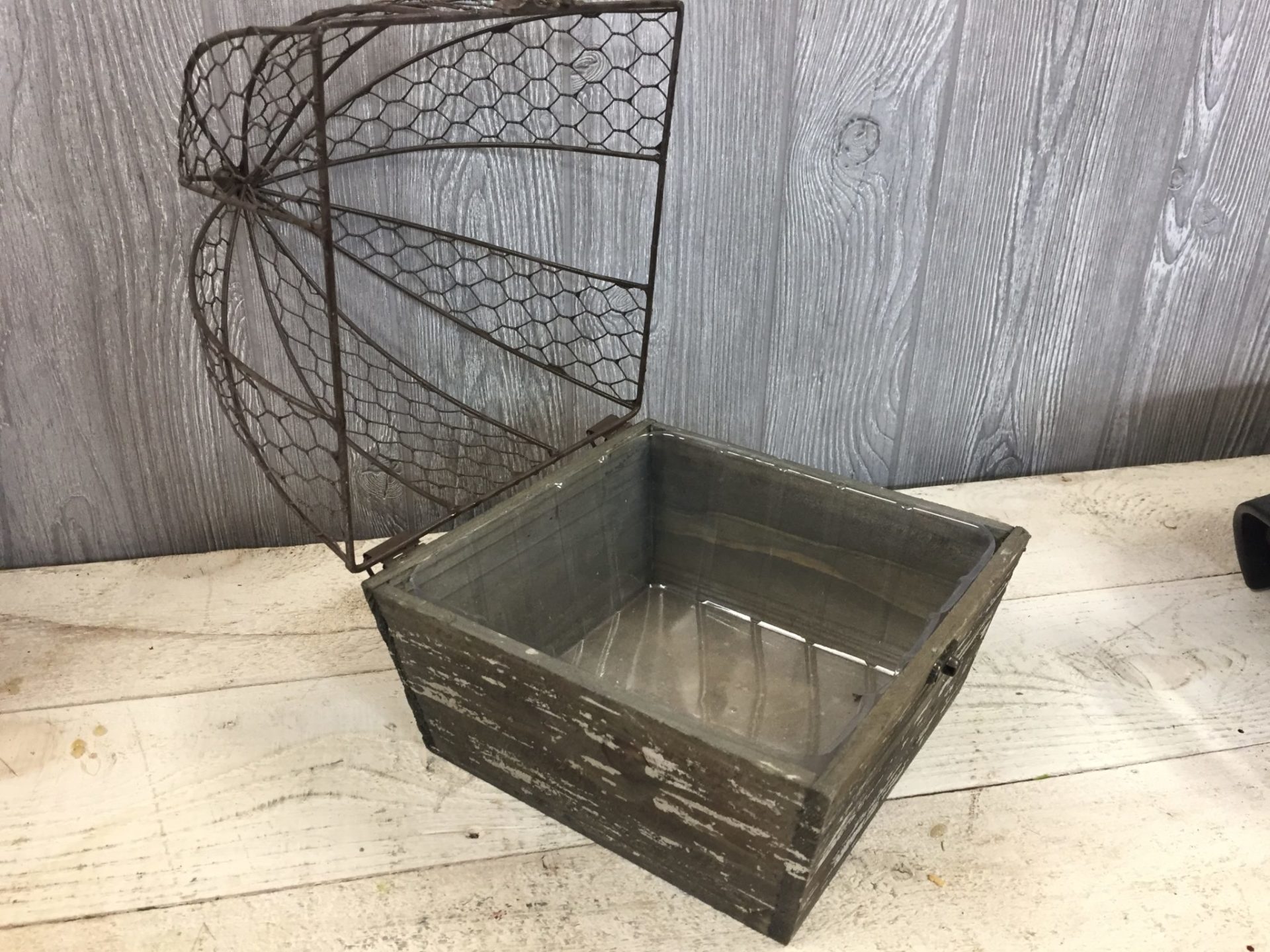 Large Square Terrarium Box - Kelea's Florals