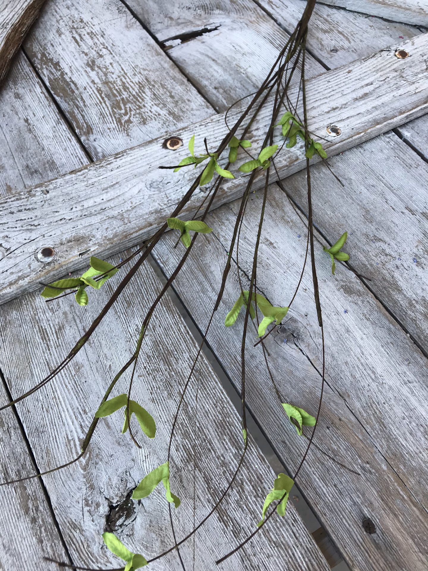 Leaf Sprout Branch - Kelea's Florals