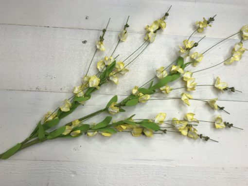 22" Yellow Sweet Pea Stem - Kelea's Florals