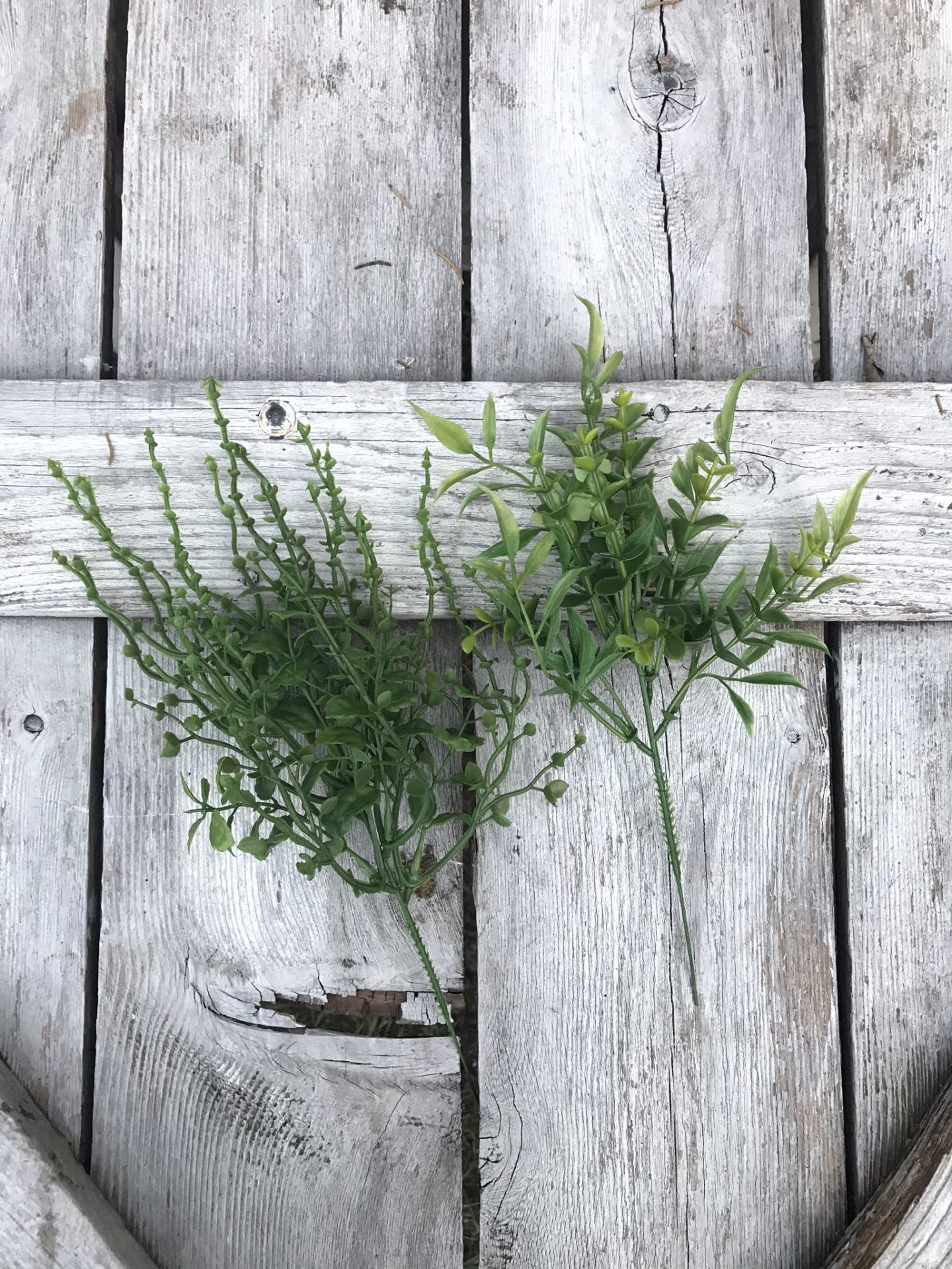 Set of 6 Small Plastic Greenery Pick - Kelea's Florals