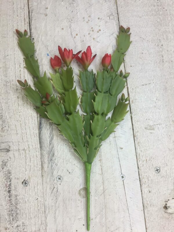 12" Red Christmas Cactus Succulent Pick - Kelea's Florals