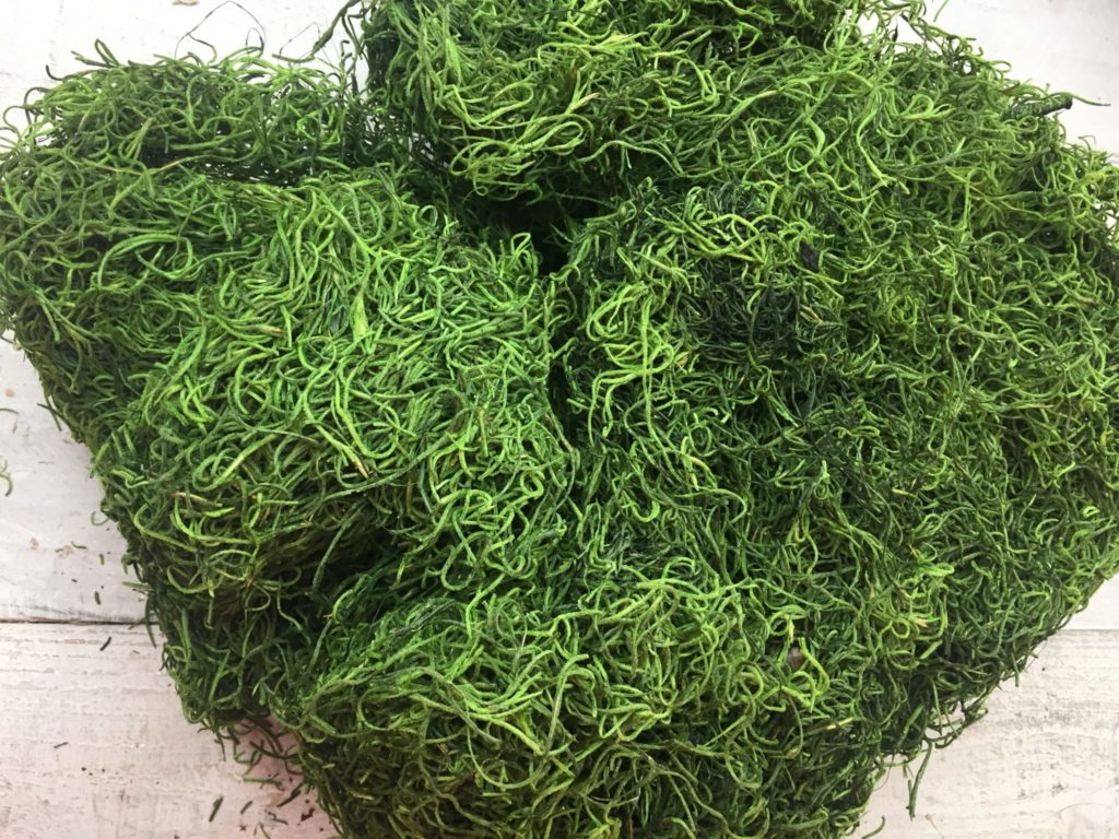 Dark Green Dried Spanish Moss - Kelea's Florals
