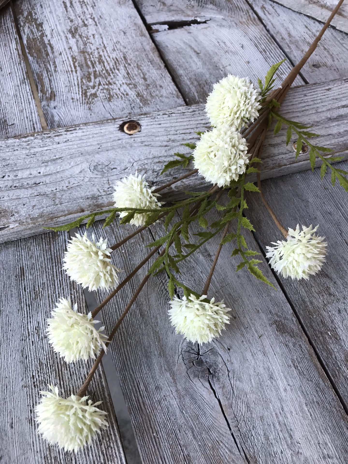 28" Cream Safflower Stem - Kelea's Florals