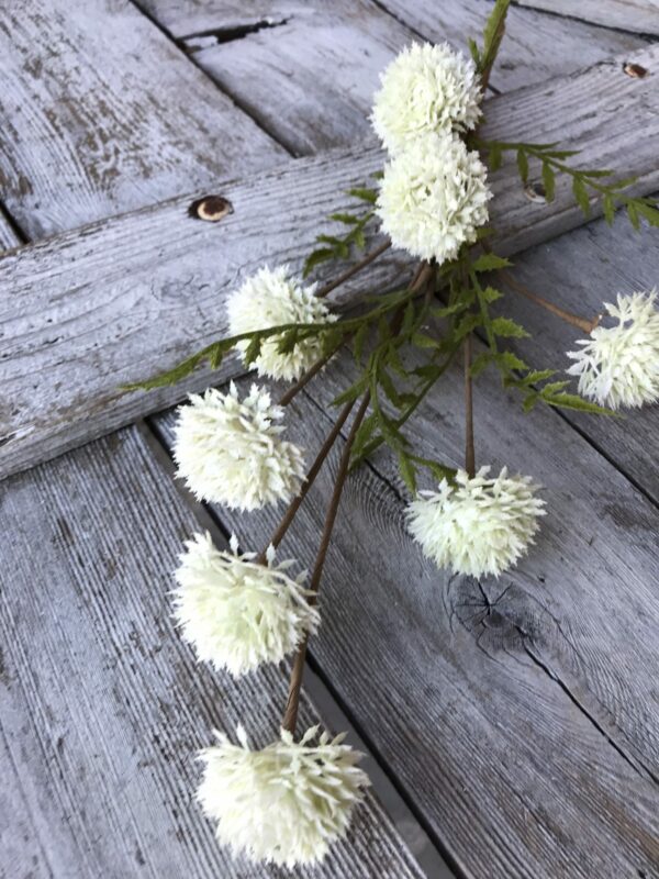 28" Cream Safflower Stem - Kelea's Florals