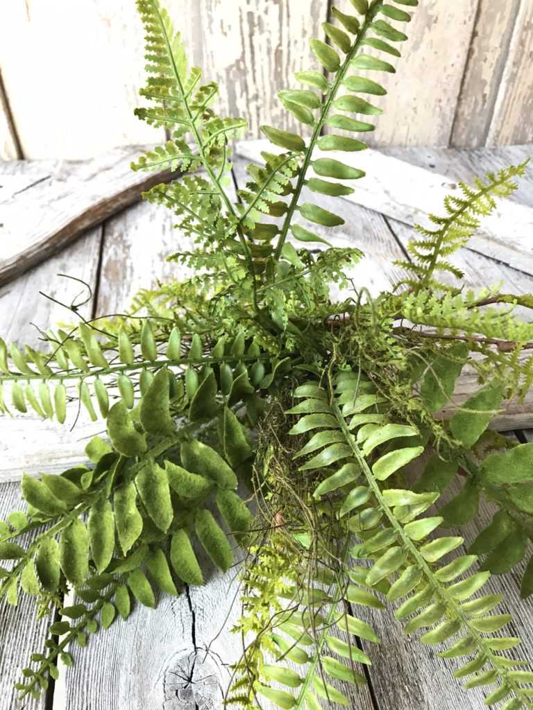 20" Whistler Fern Bush - Kelea's Florals