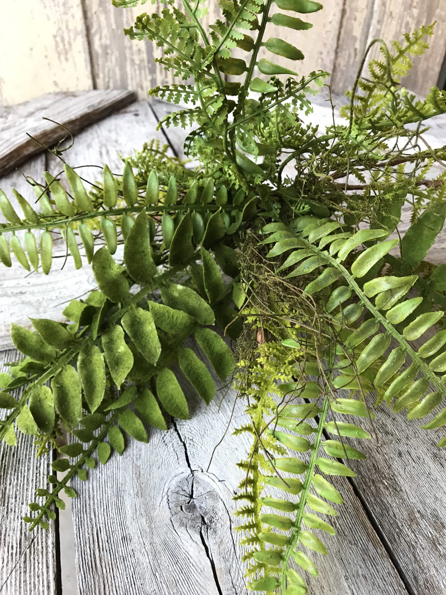 20" Whistler Fern Bush - Kelea's Florals
