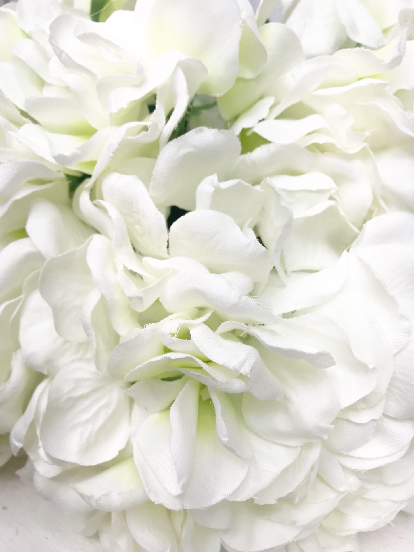 20" Cream Hydrangea Bush - Kelea's Florals