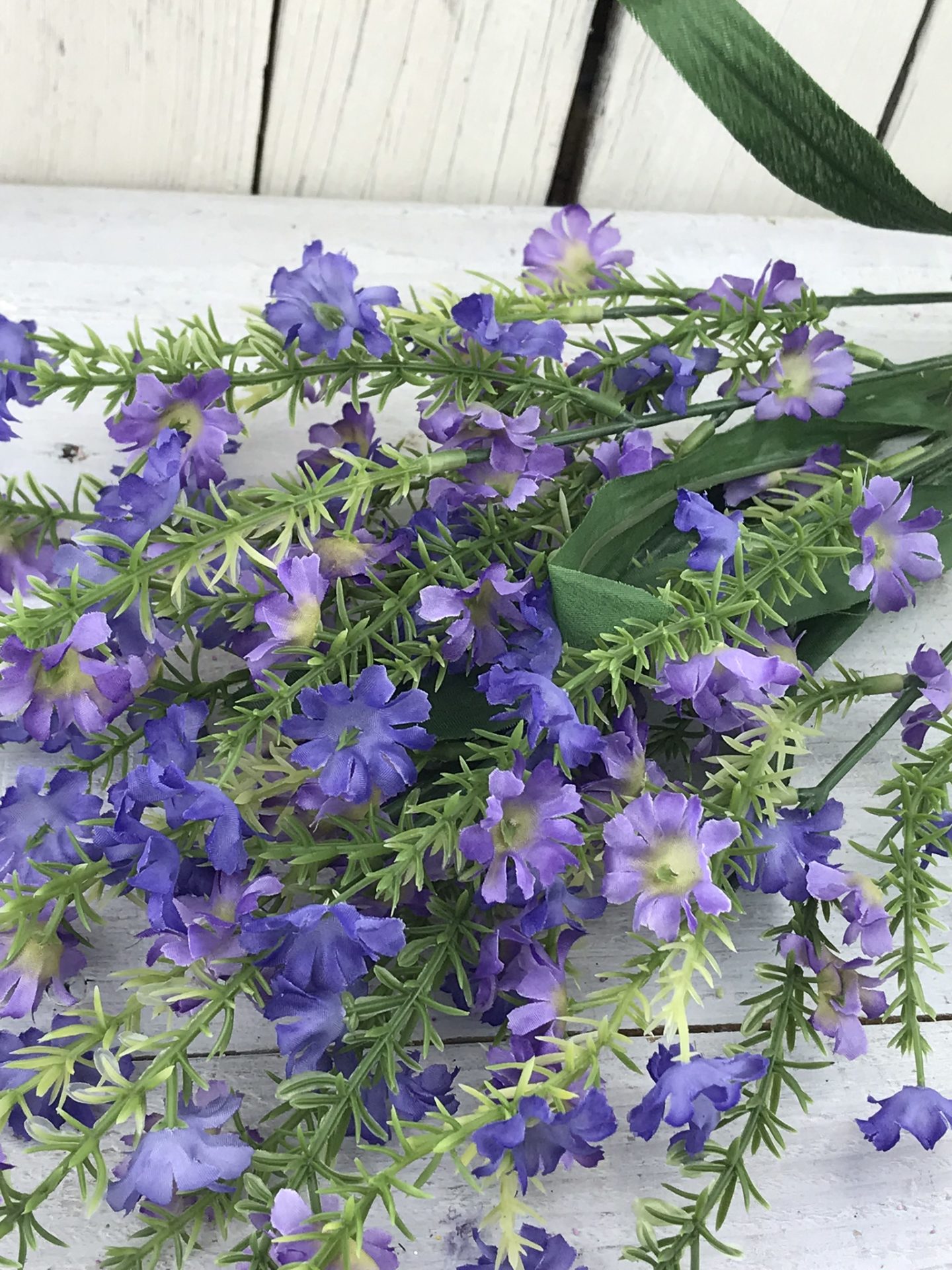 Purple Corn Flower bush - Kelea's Florals