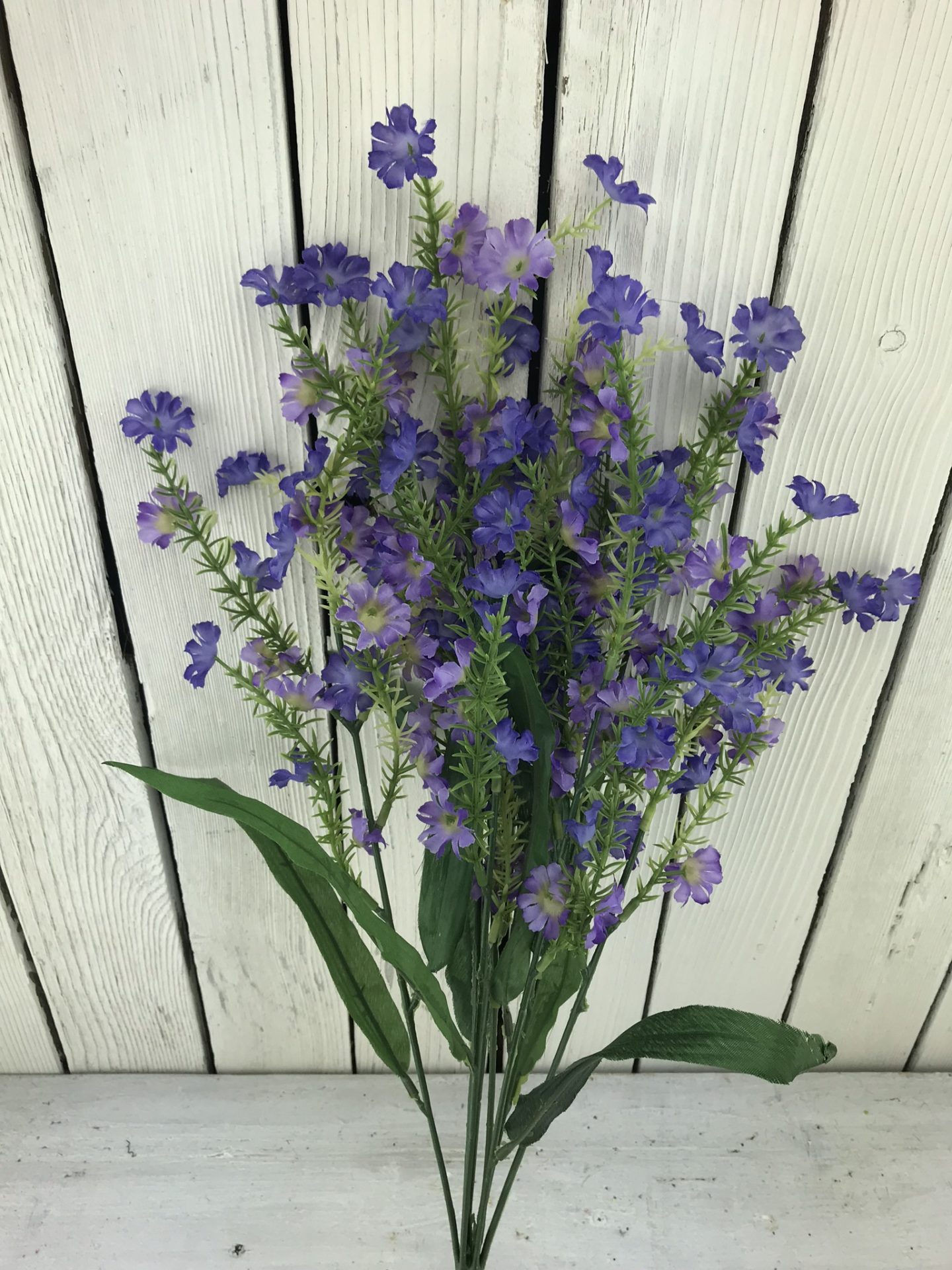 Purple Corn Flower bush - Kelea's Florals