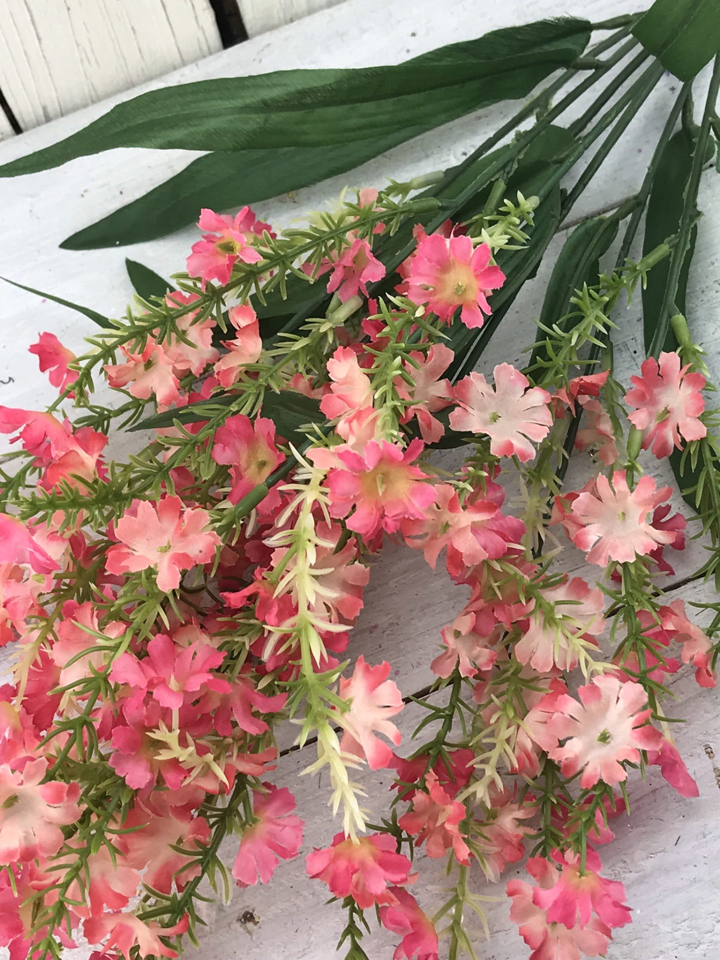 Hot Pink Corn Flower bush - Kelea's Florals