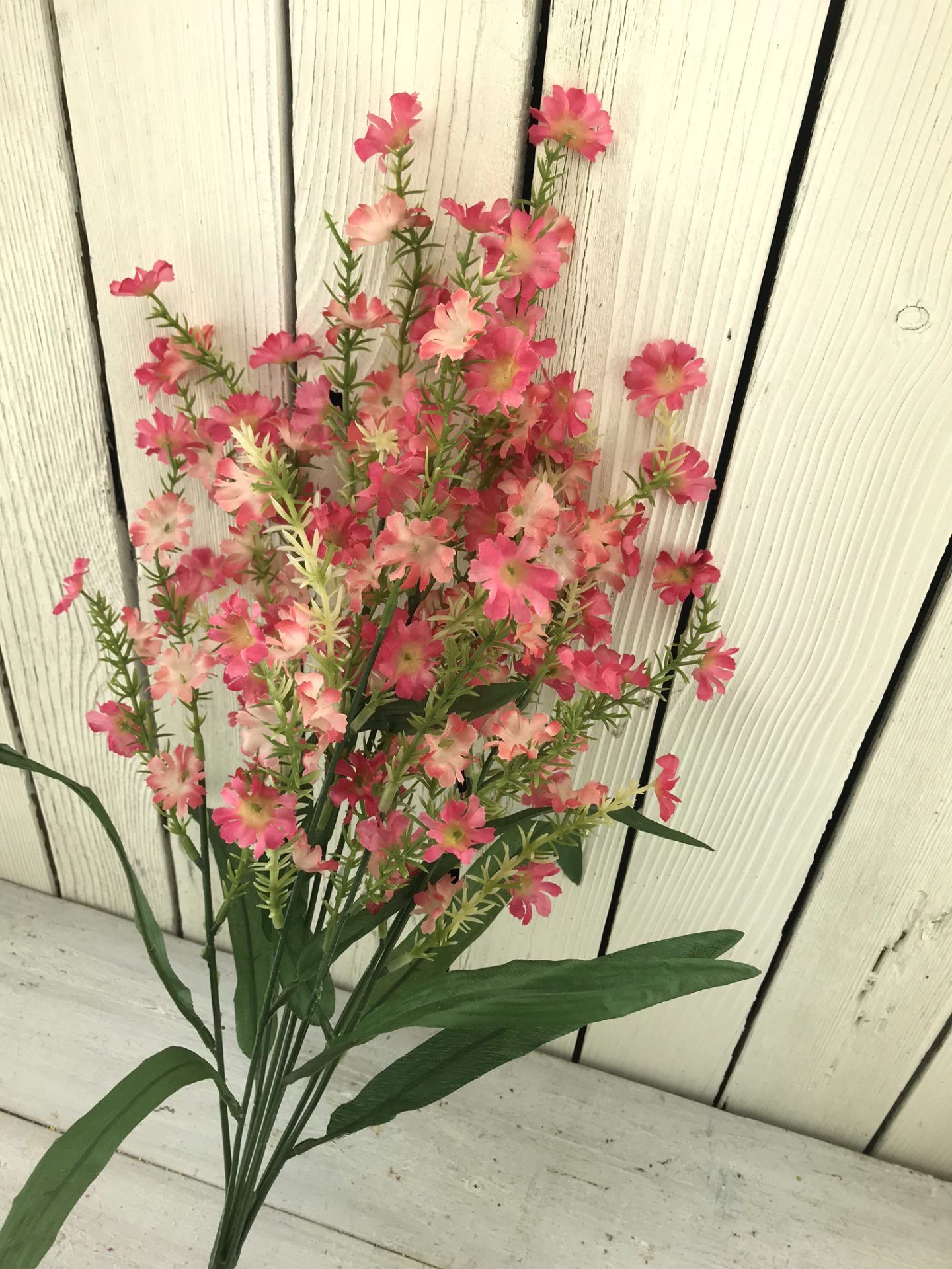 Hot Pink Corn Flower bush - Kelea's Florals
