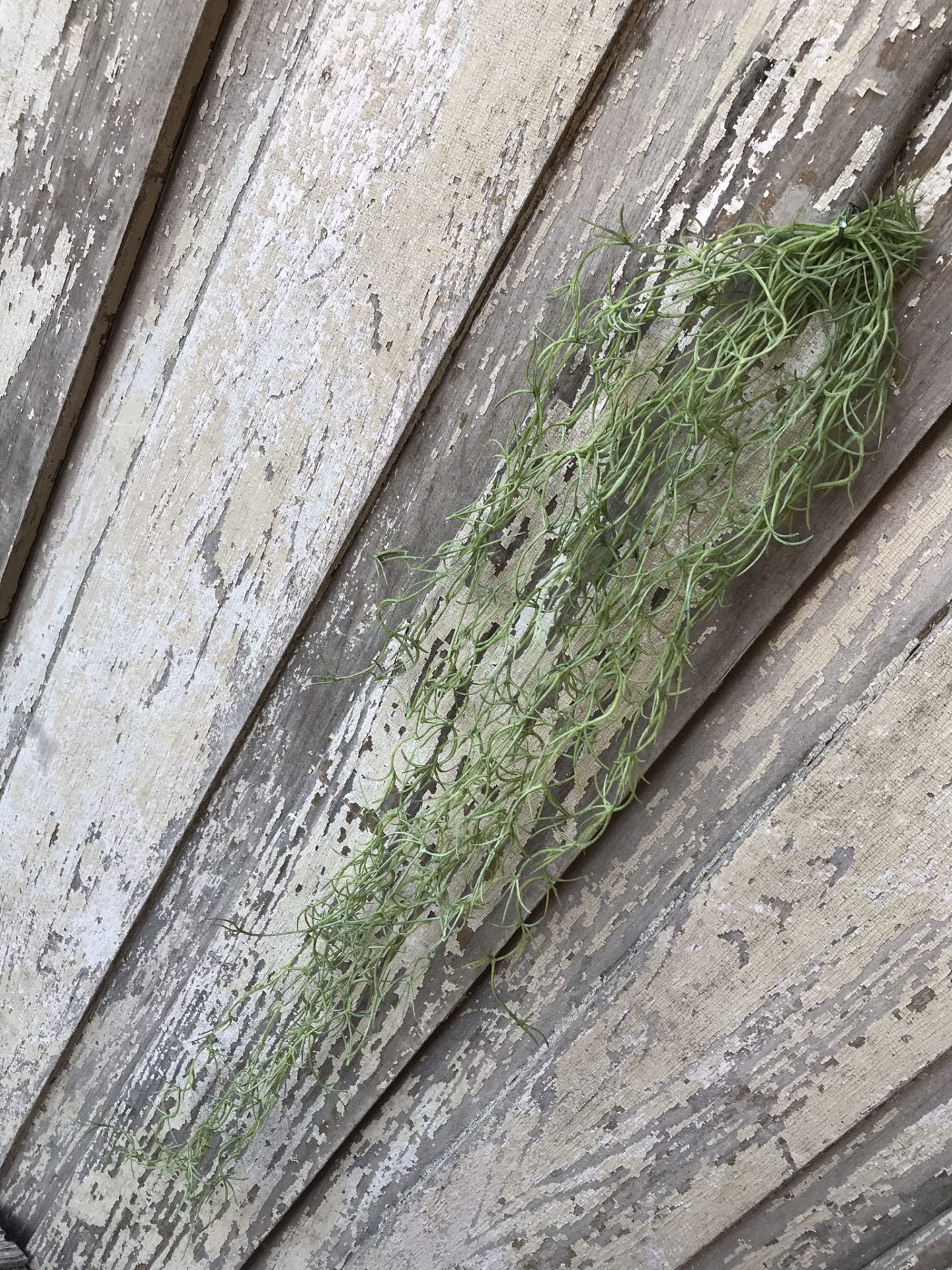 29" Hanging Moss - Kelea's Florals