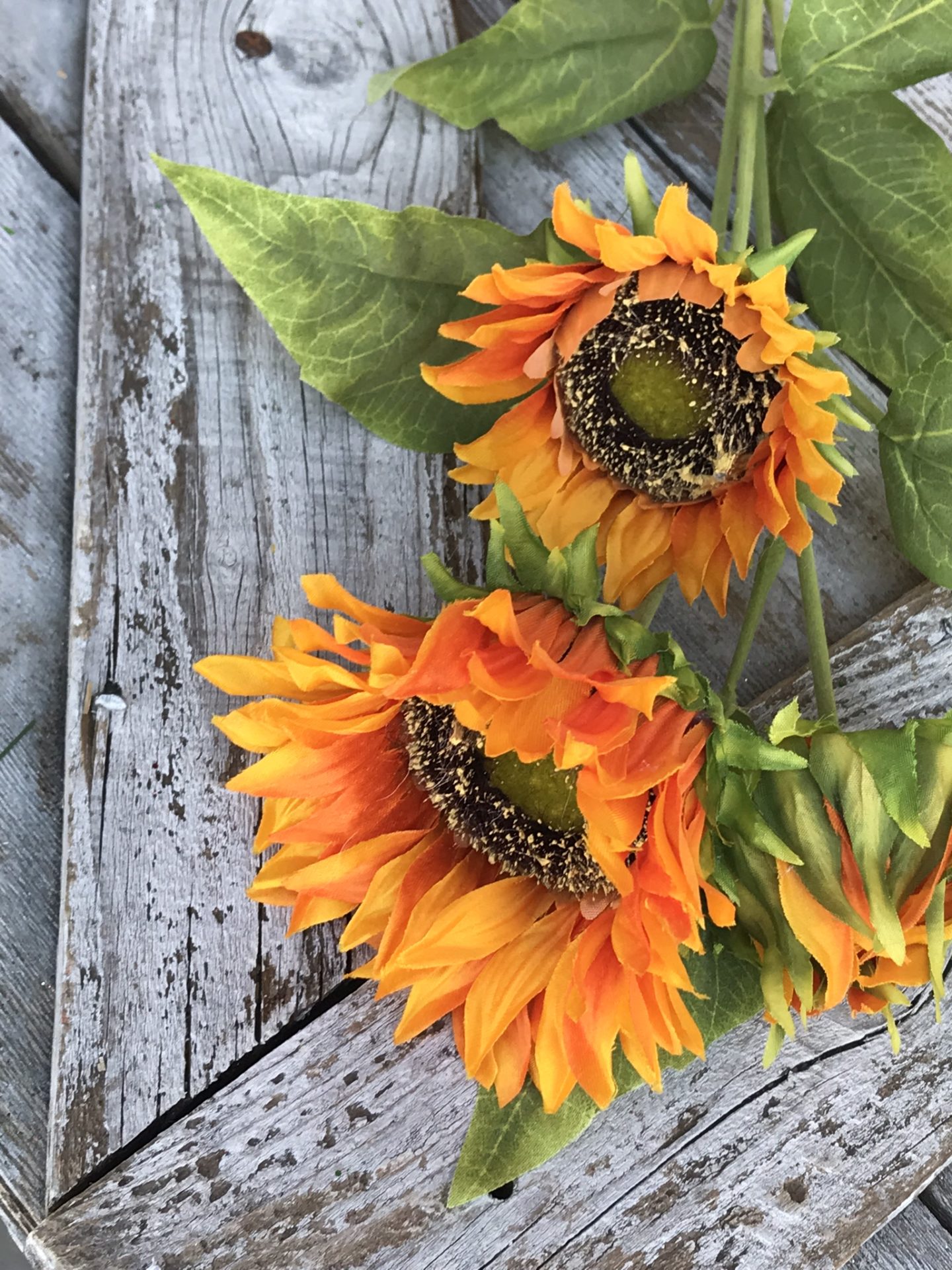 26" Sunflower Stems (Set of 2) - Kelea's Florals