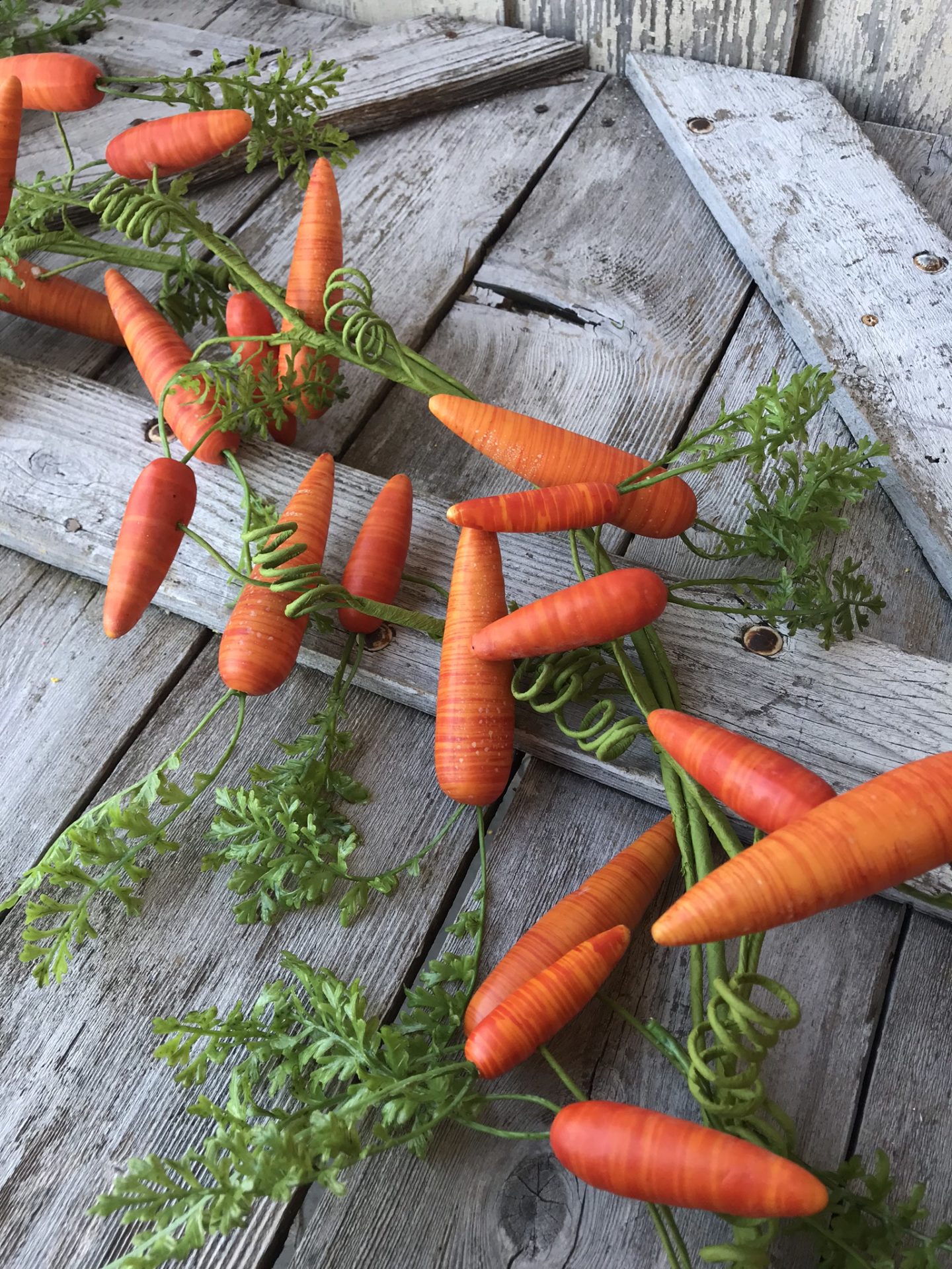 Carrot Garland - Kelea's Florals
