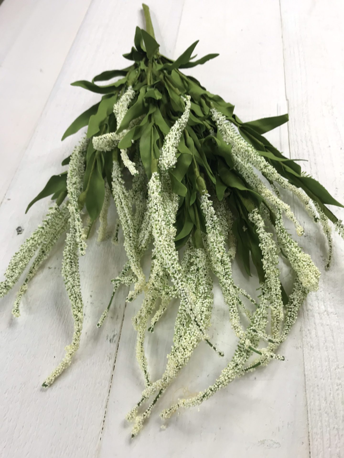 22.5" White Cattail Bush - Kelea's Florals