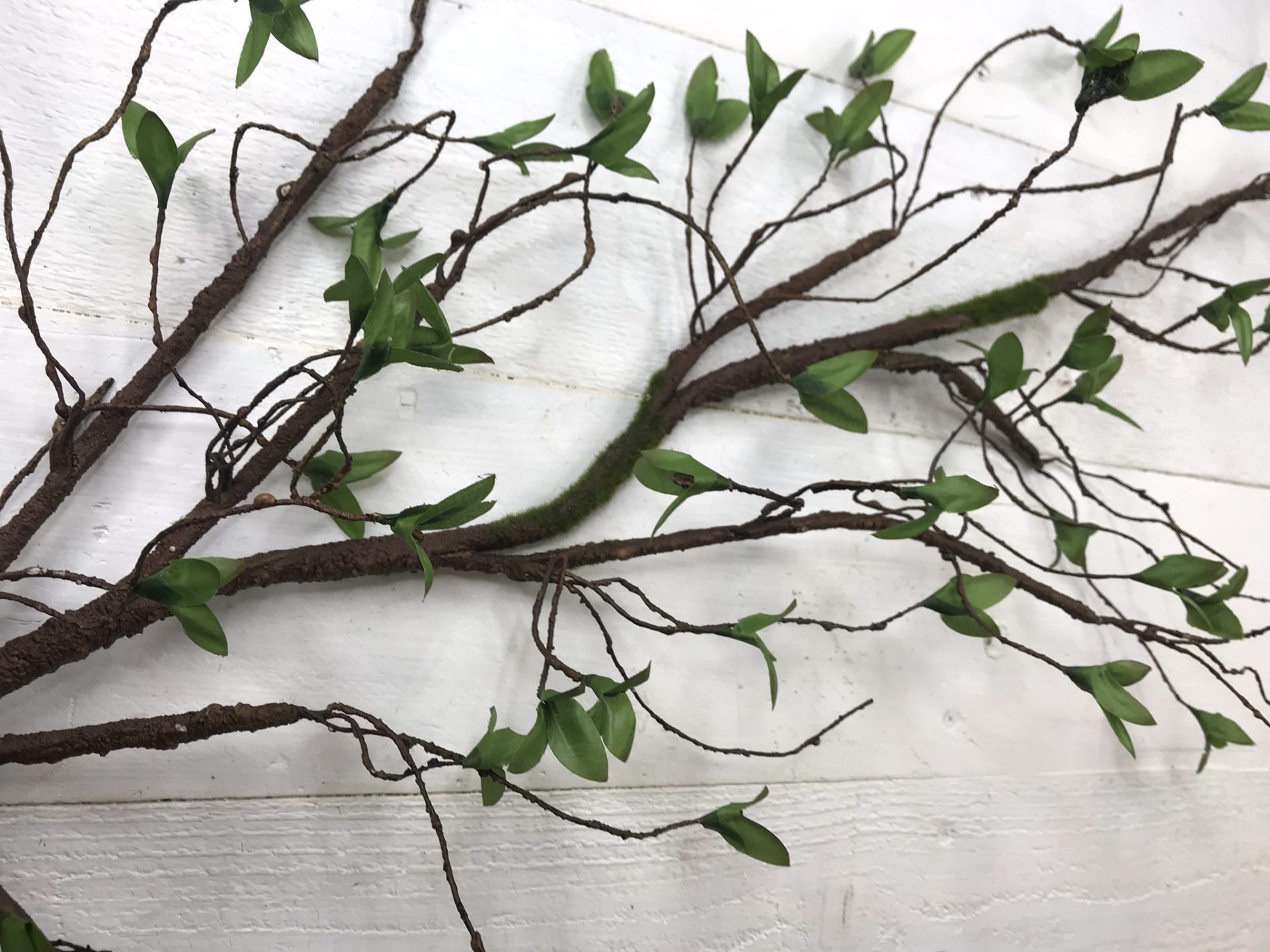 Large Twig Sprout Stem - Kelea's Florals