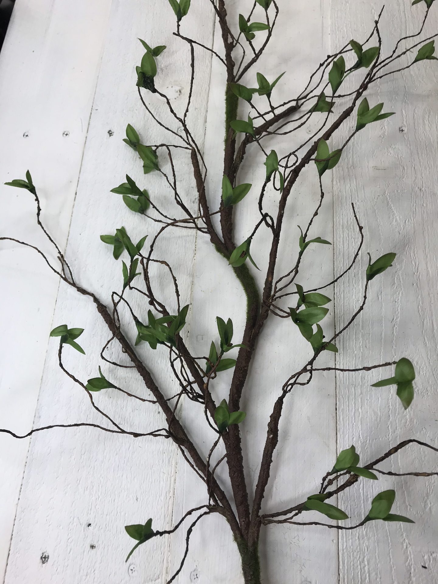 Large Twig Sprout Stem - Kelea's Florals