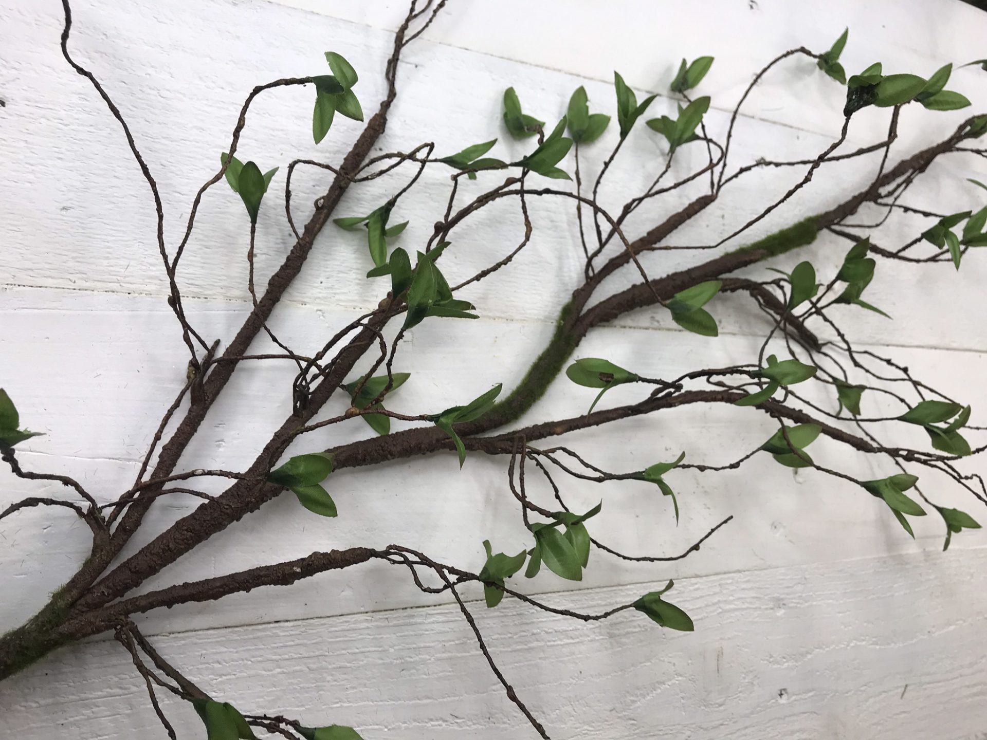 Large Twig Sprout Stem - Kelea's Florals