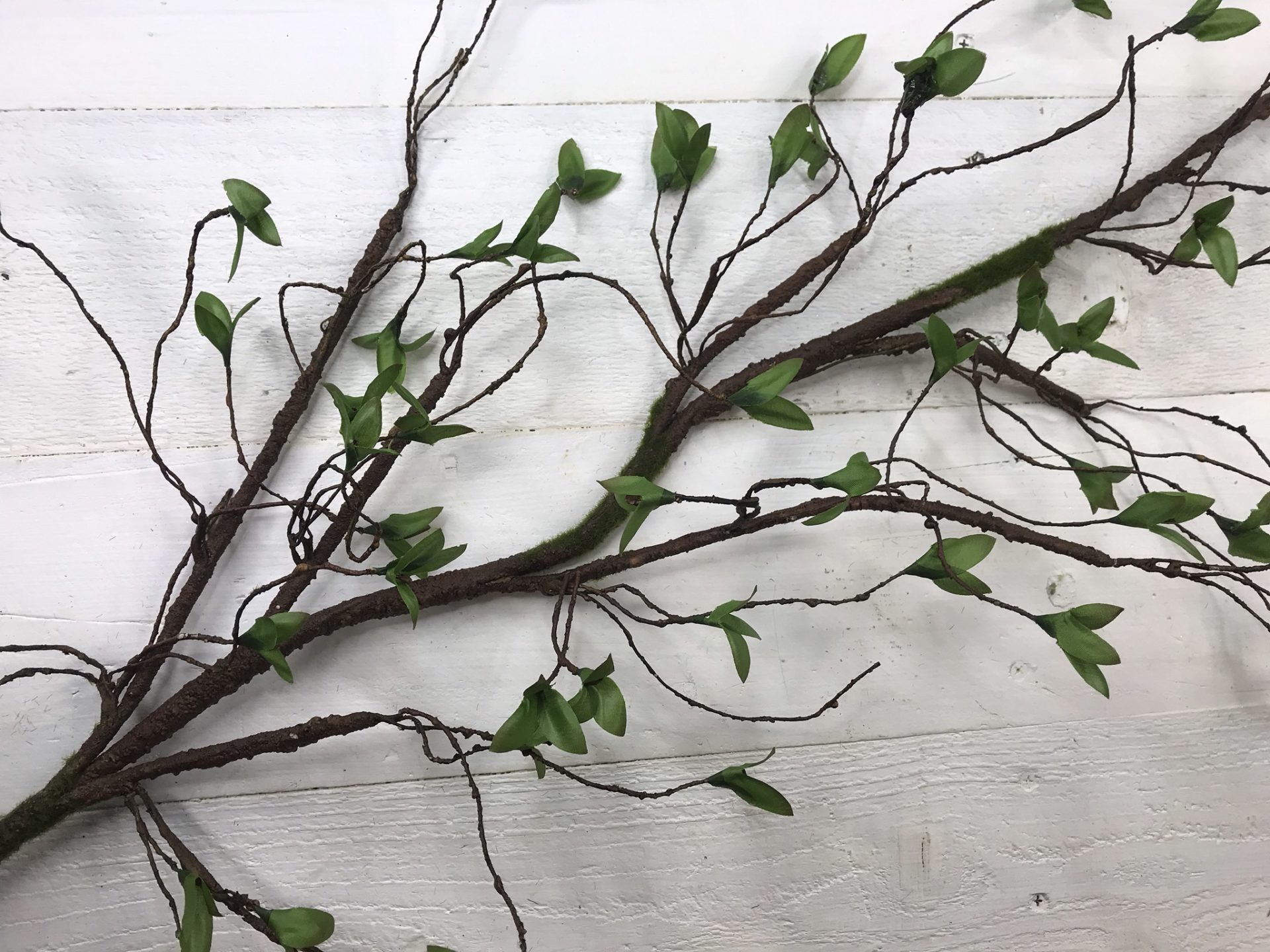 Large Twig Sprout Stem - Kelea's Florals