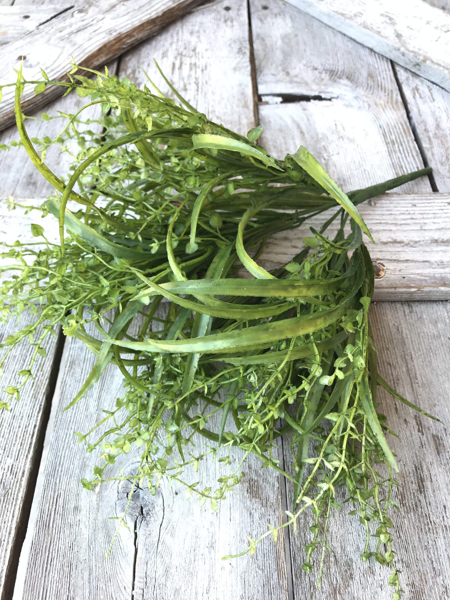 Button Bush Grass - Kelea's Florals