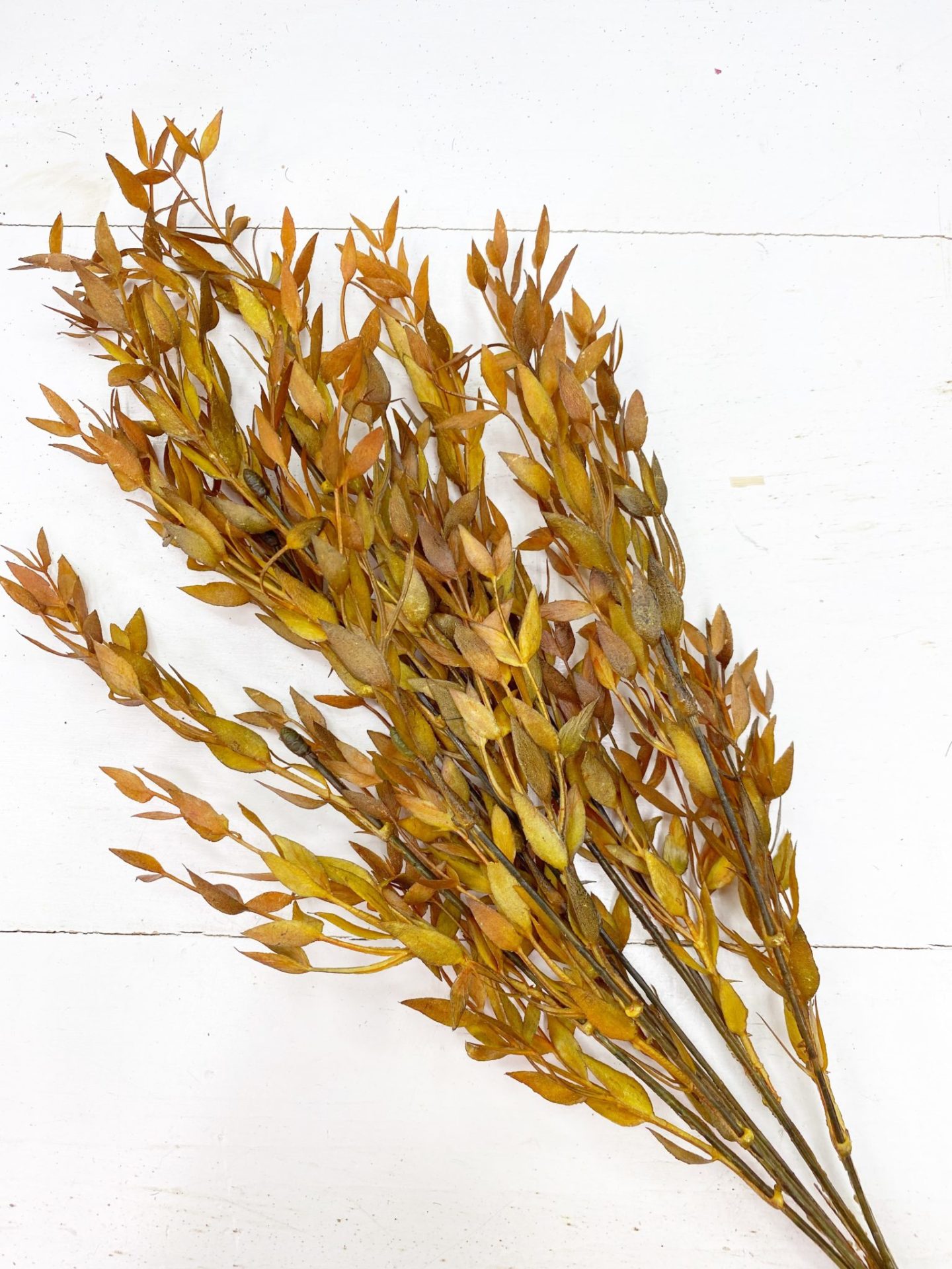 Fall Velvet Ash Bush - Kelea's Florals