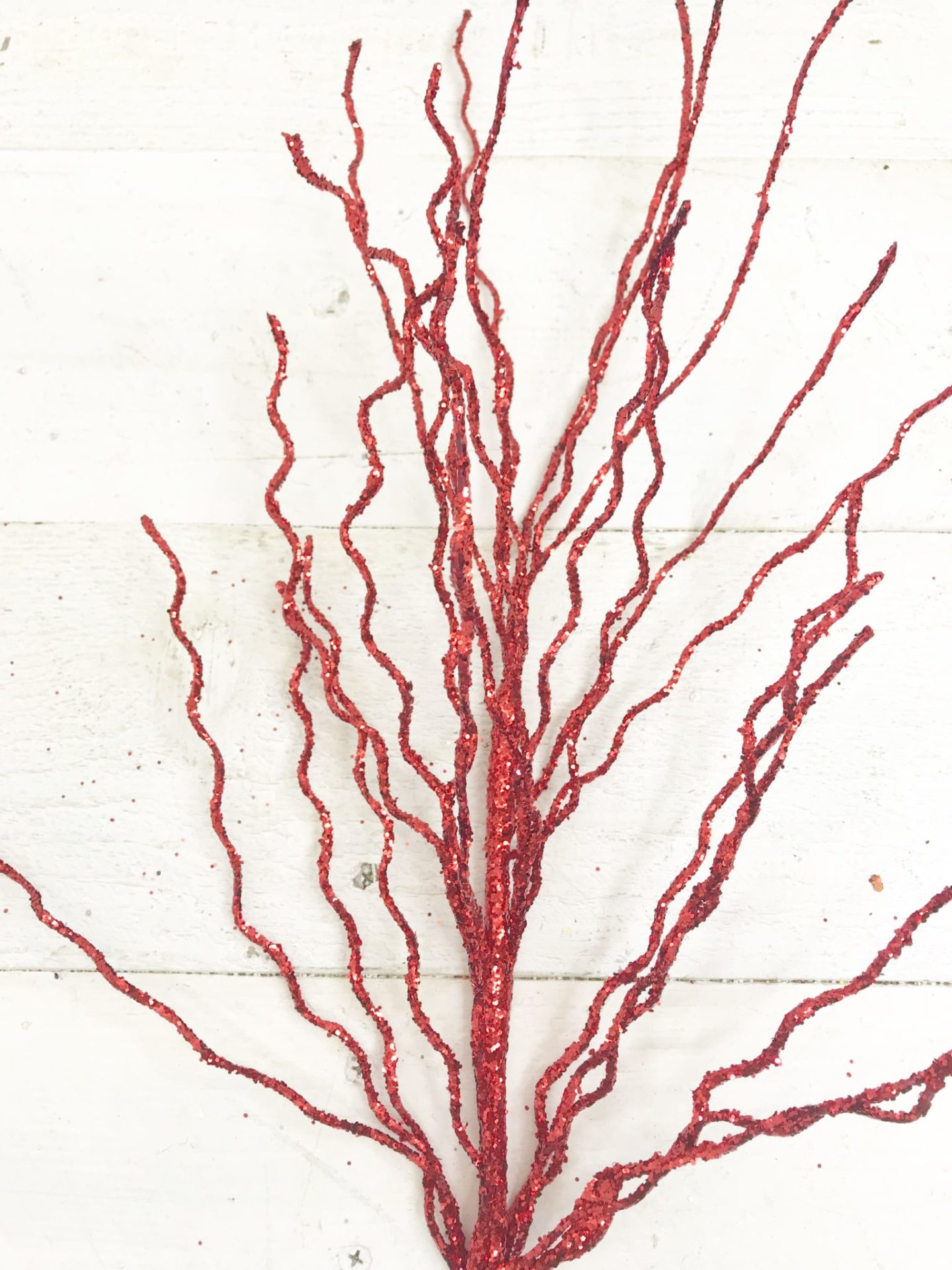 Red Glitter Twig - Kelea's Florals