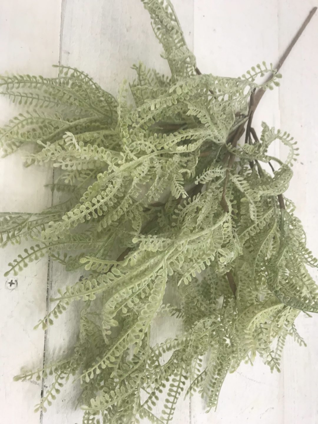 Leaf Bush - Kelea's Florals