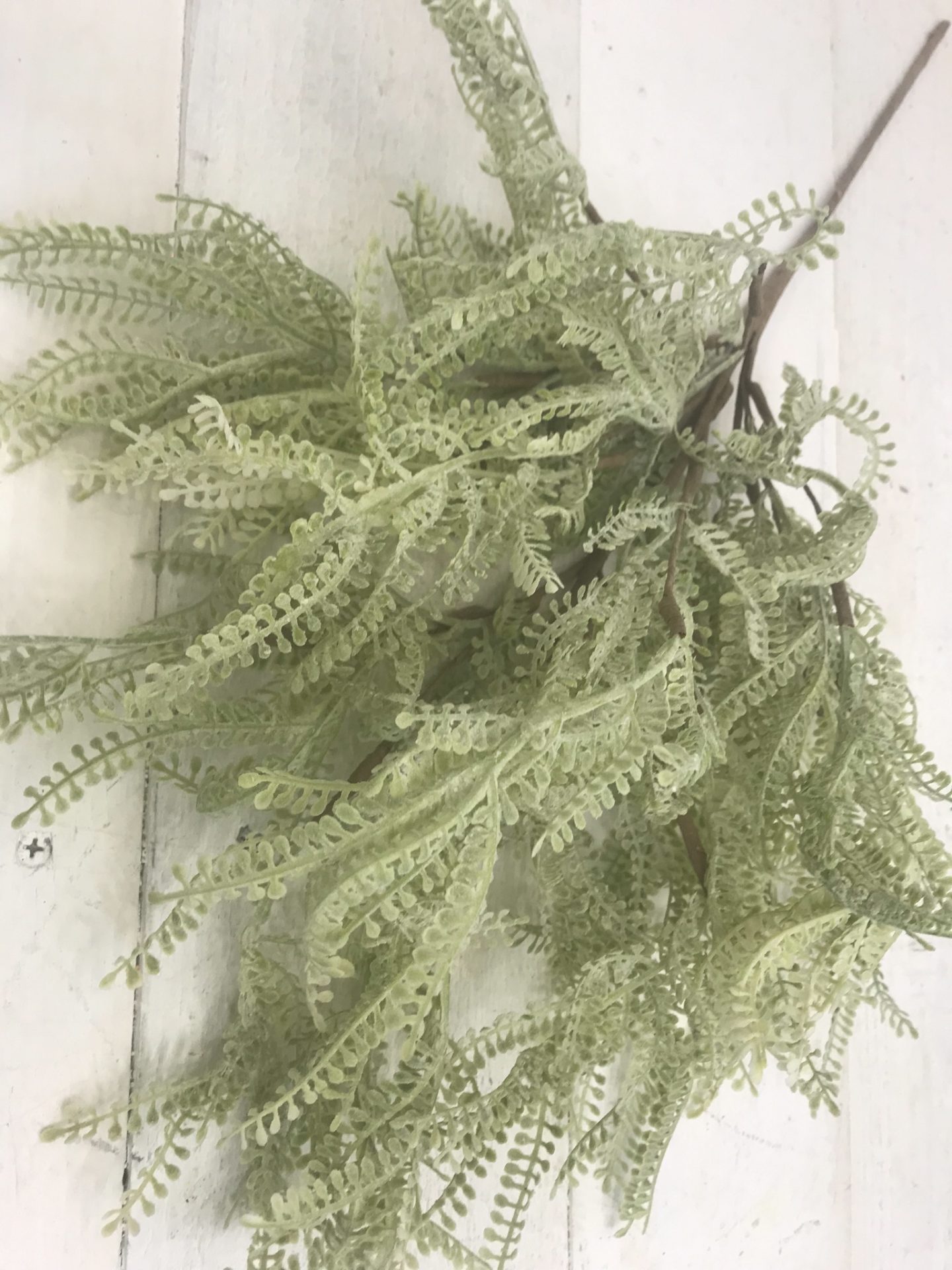 Leaf Bush - Kelea's Florals