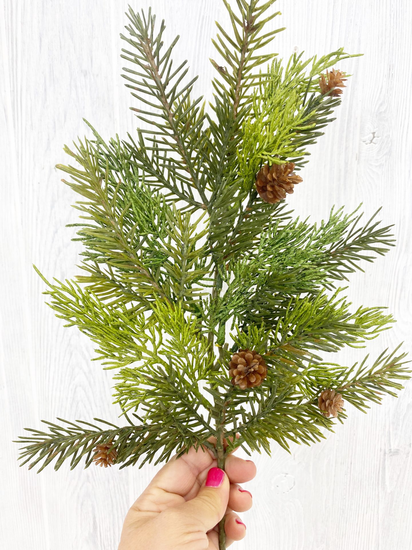 Pine Cedar Pine cone Stem - Kelea's Florals