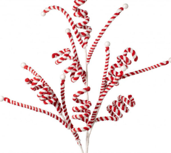 Red and White Peppermint Curly Stem - Kelea's Florals