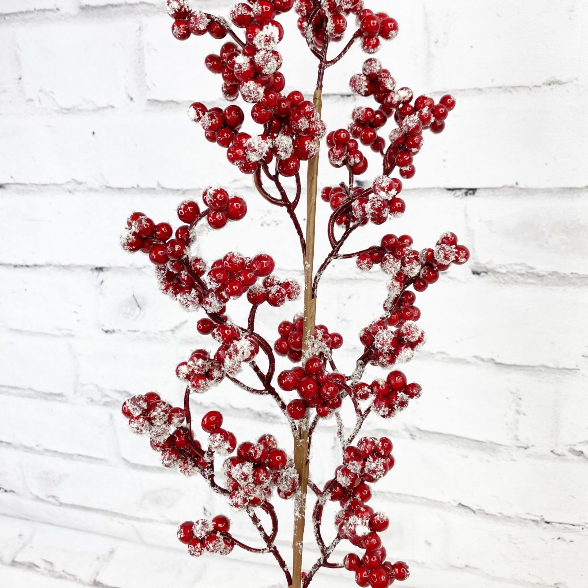 Snow Red Berry stem - Kelea's Florals