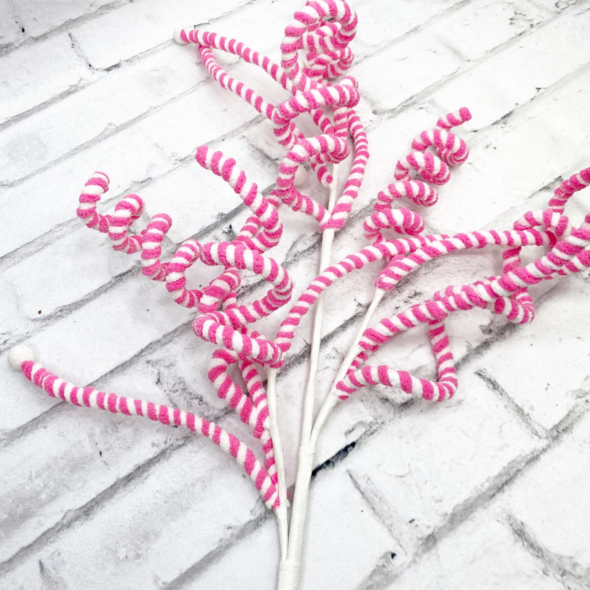 Pink and White Peppermint Curly Stem - Kelea's Florals