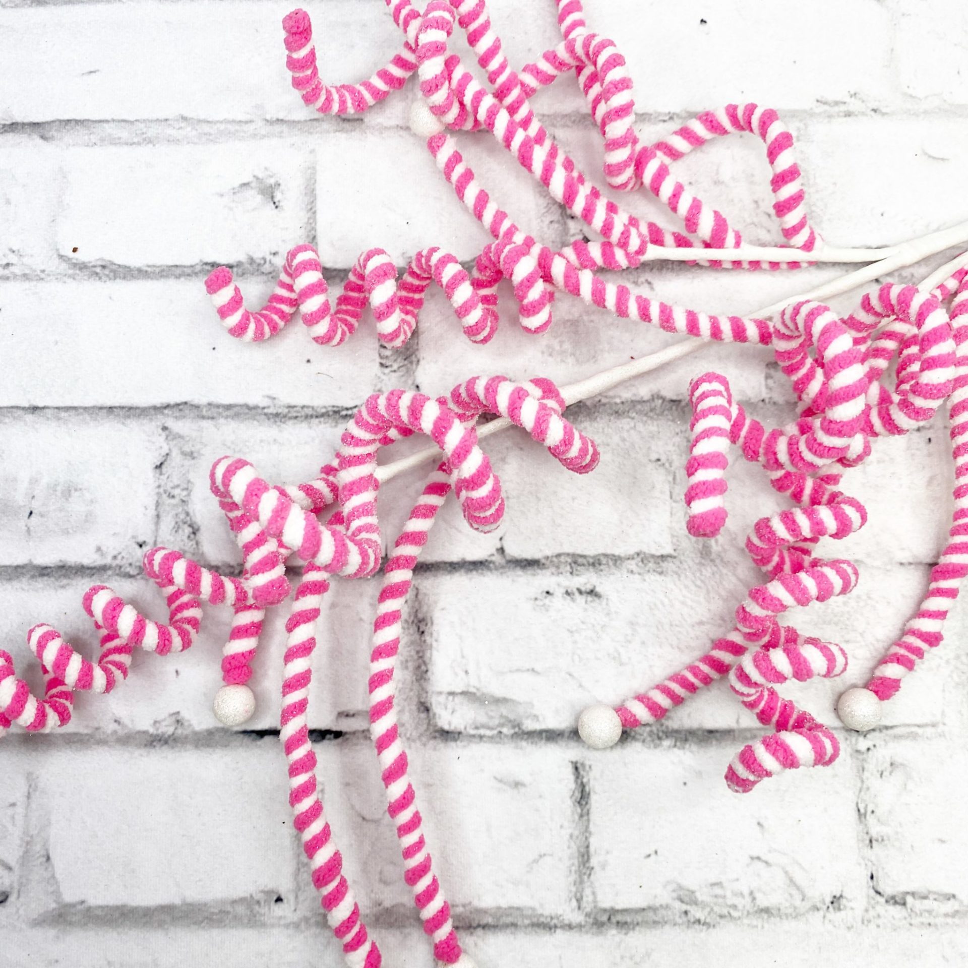 Pink and White Peppermint Curly Stem - Kelea's Florals