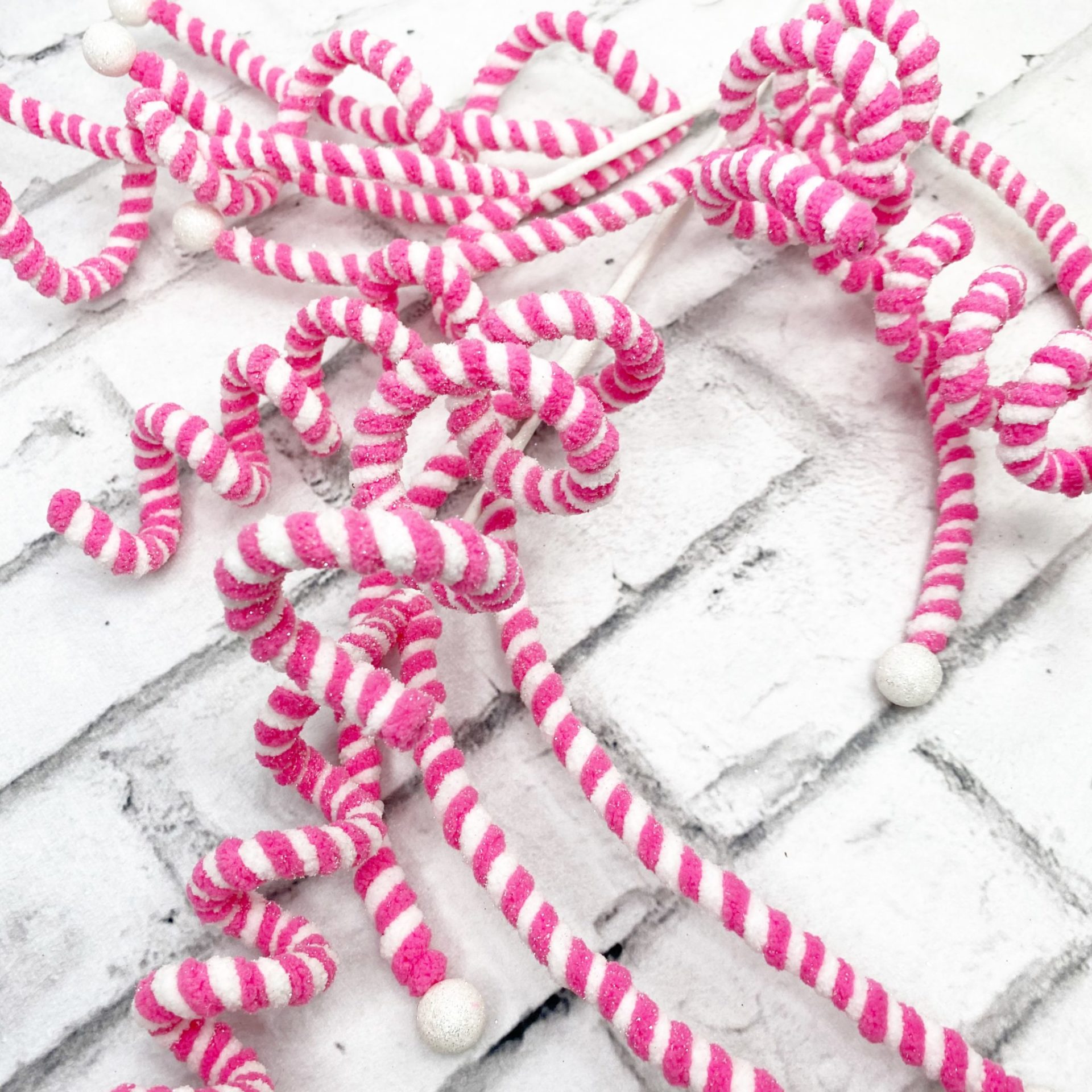 Pink and White Peppermint Curly Stem - Kelea's Florals