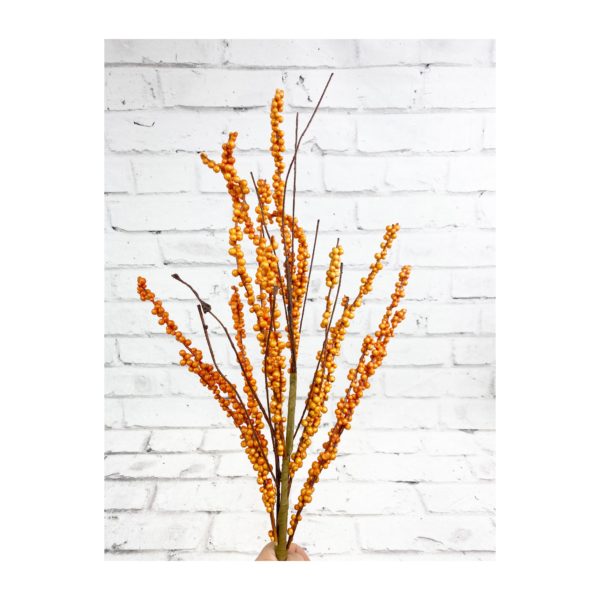 Orange Berry Stem - Kelea's Florals