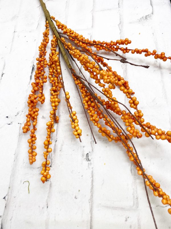 Orange Berry Stem - Kelea's Florals