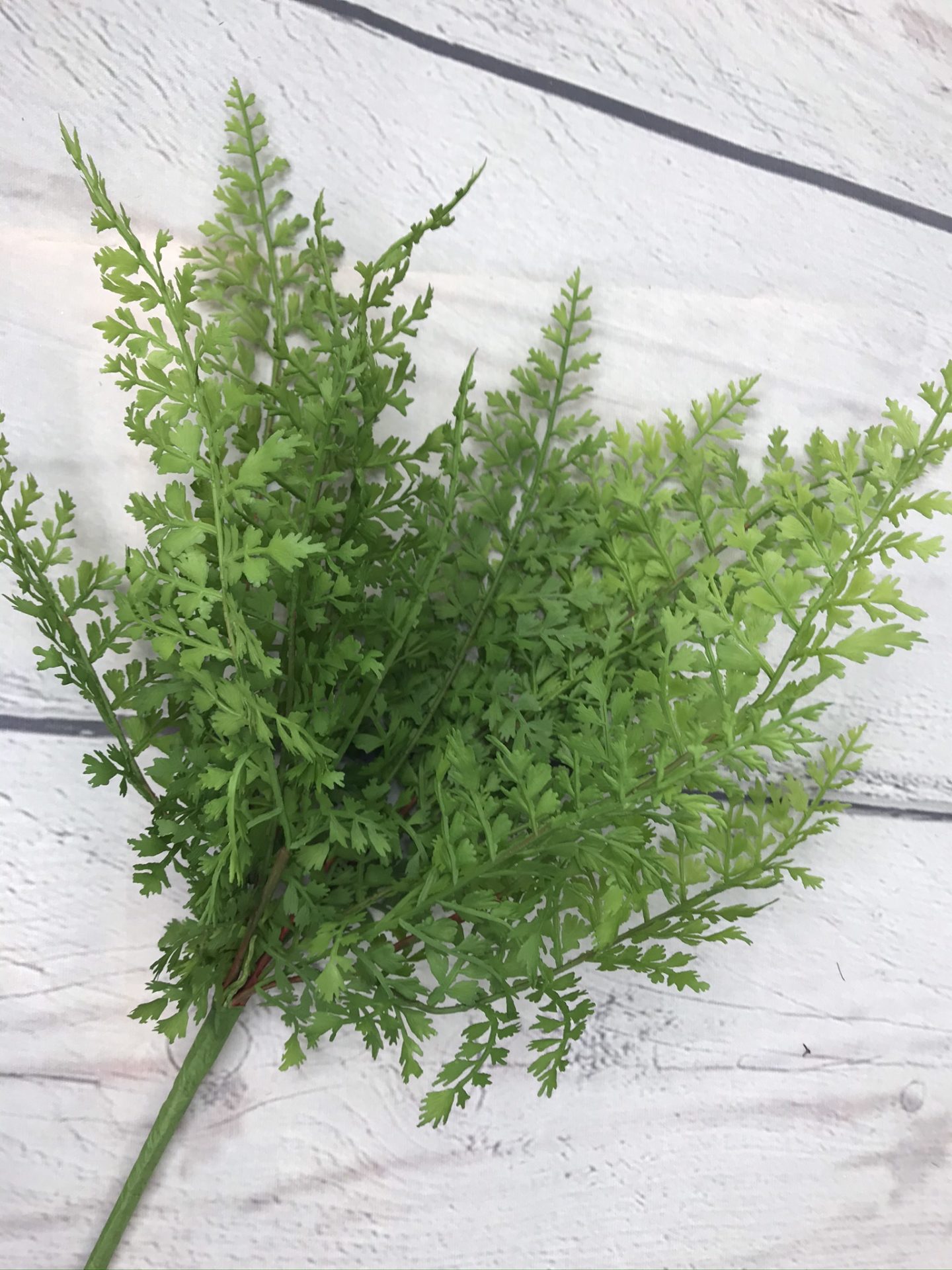 Fern Bundle Bush - Kelea's Florals