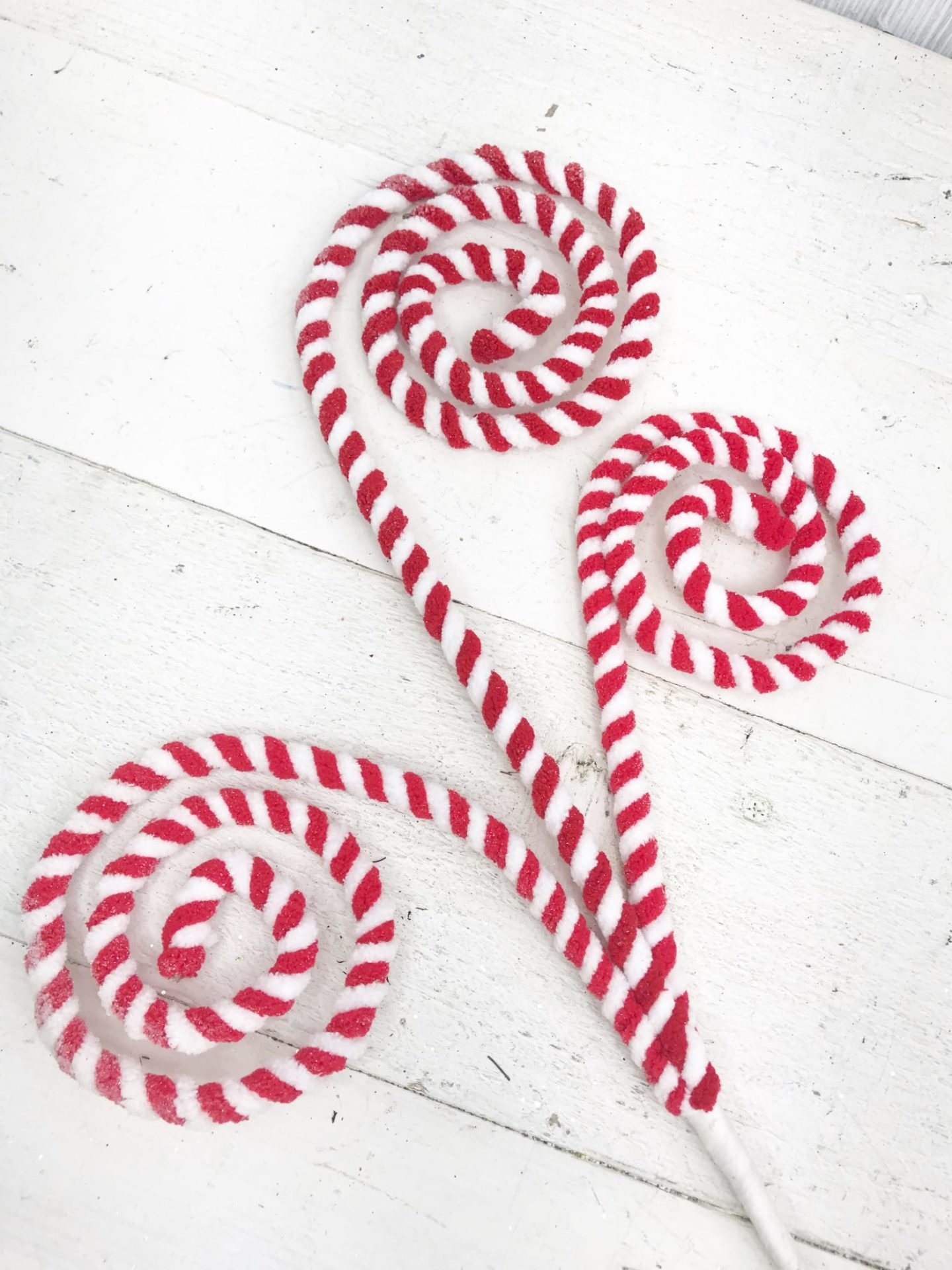 Red and White Peppermint Curly Stem - Kelea's Florals