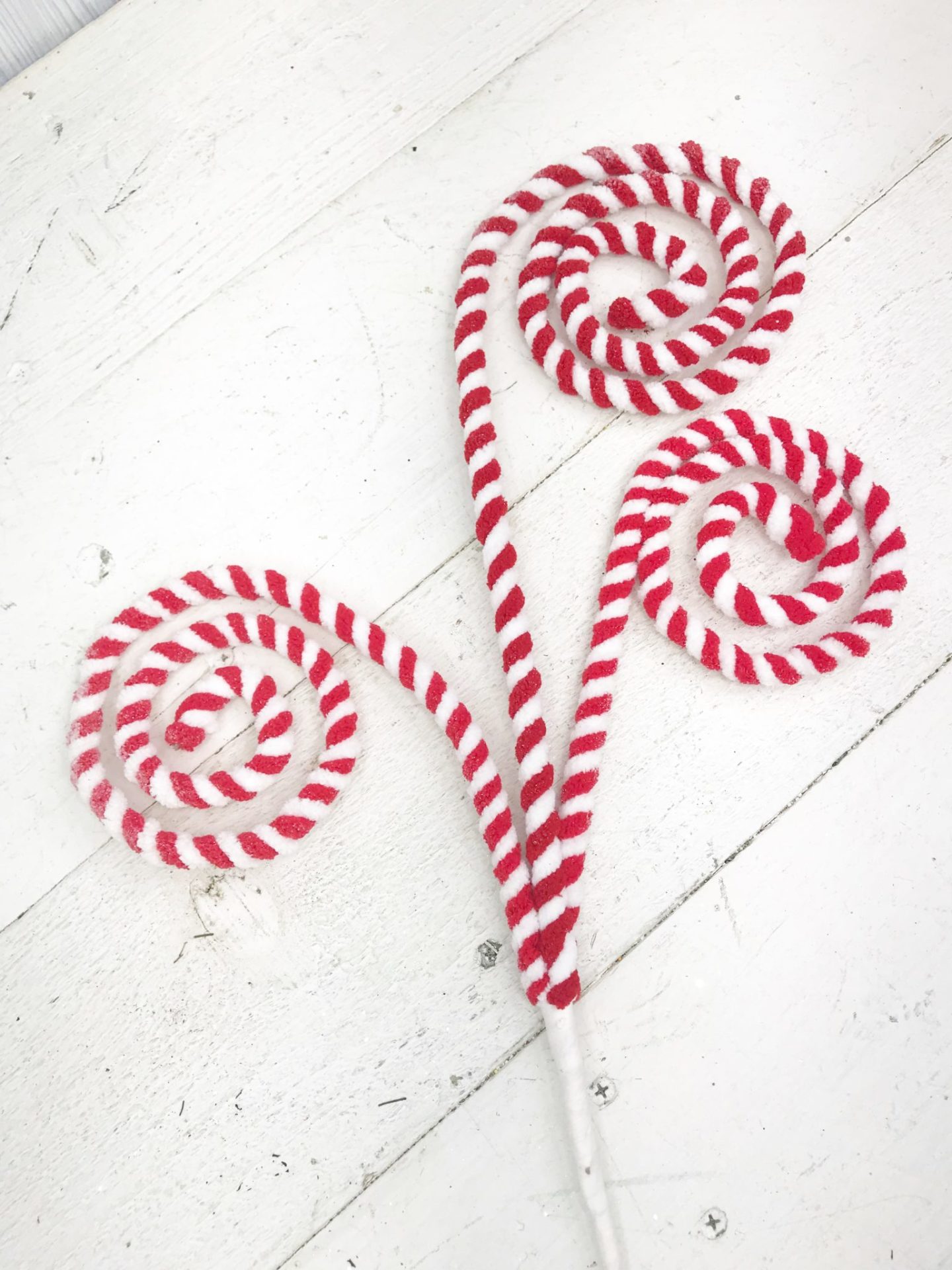 Red and White Peppermint Curly Stem - Kelea's Florals