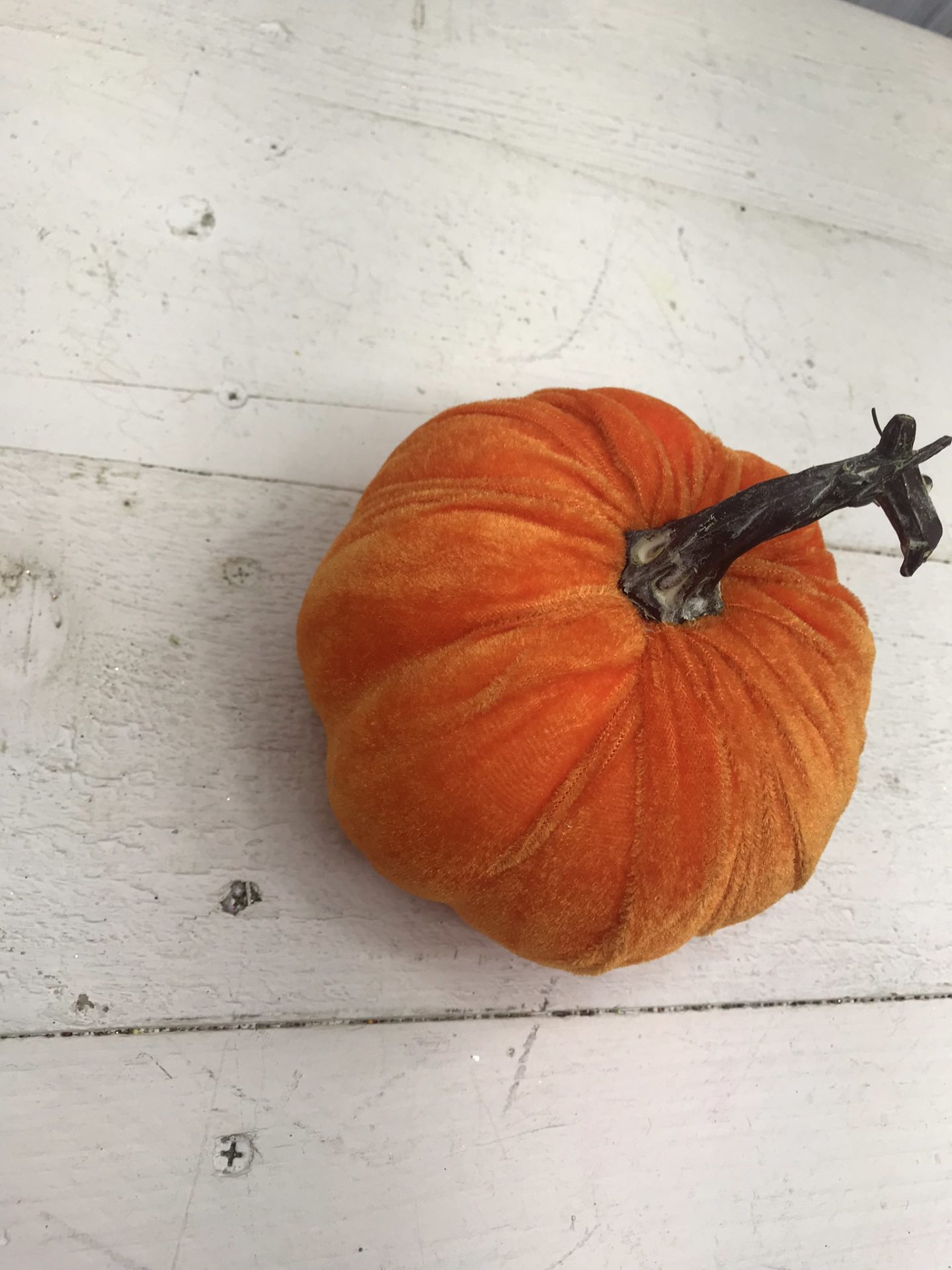 Small Orange Velvet Pumpkin - Kelea's Florals