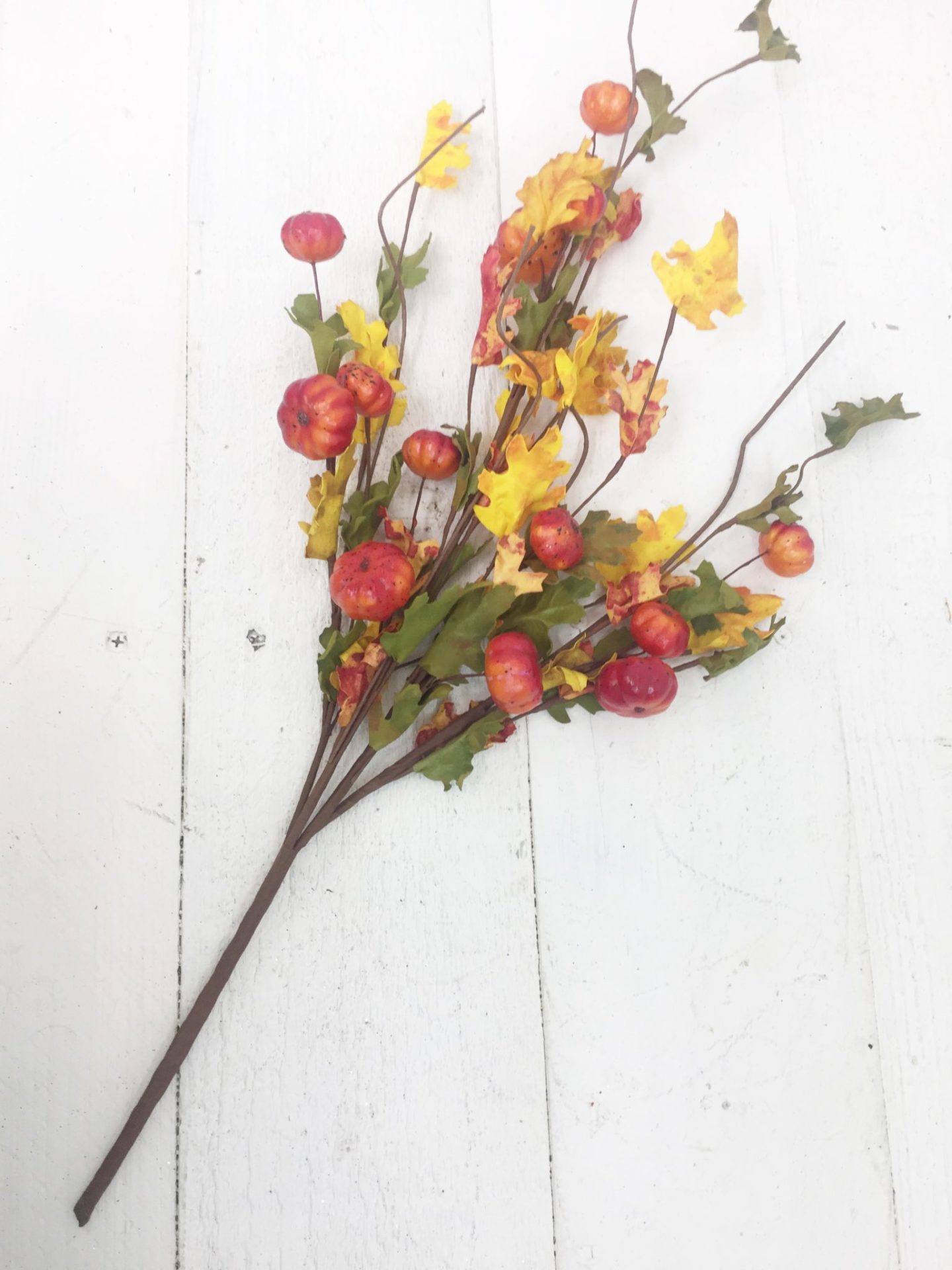 Pumpkin with Oak Leaves Bush - Kelea's Florals