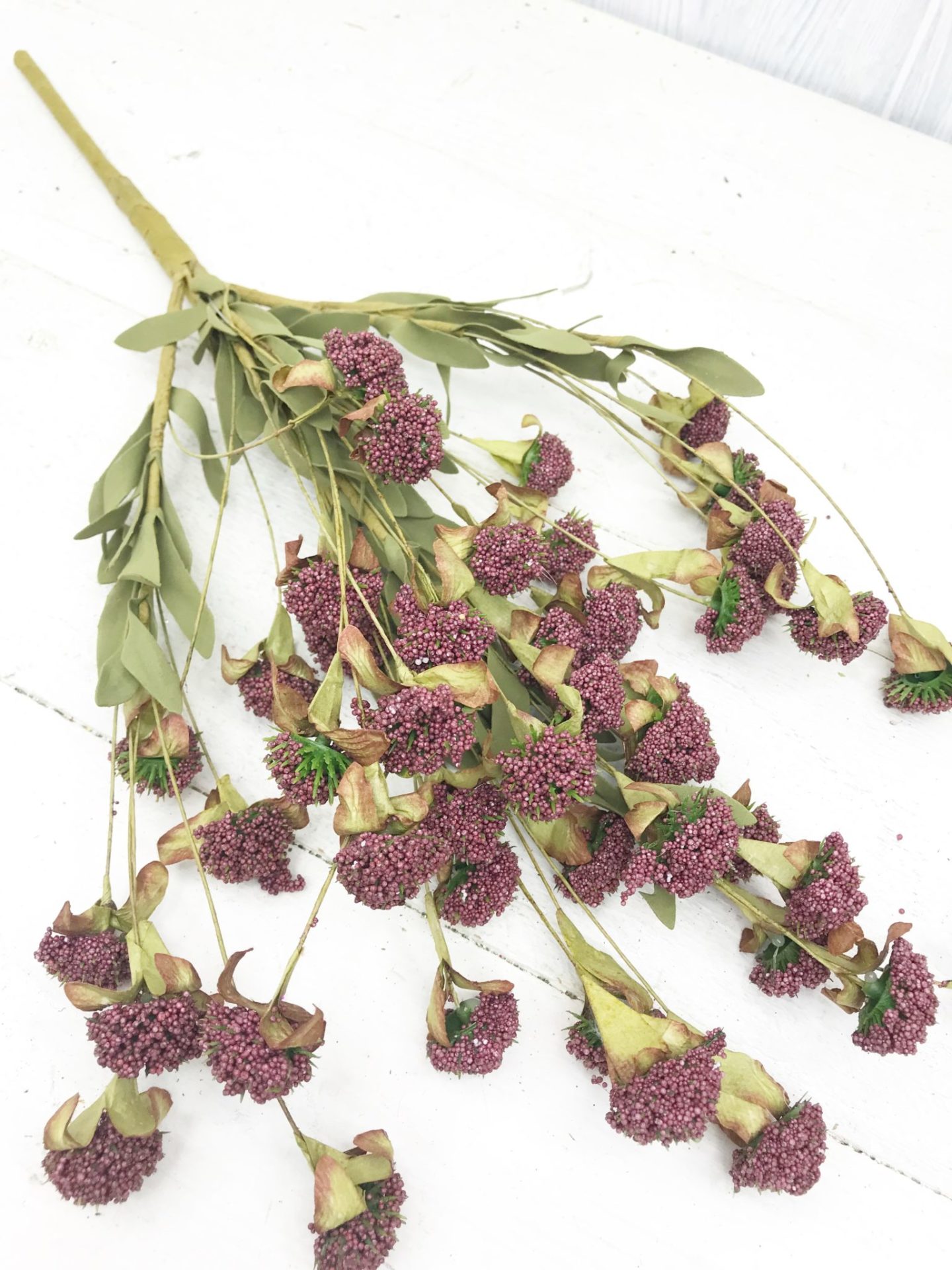 Burgundy Thistle Stem - Kelea's Florals