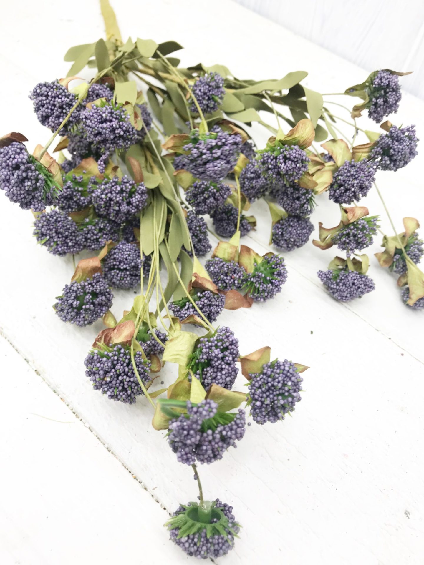 Purple Thistle Stem - Kelea's Florals