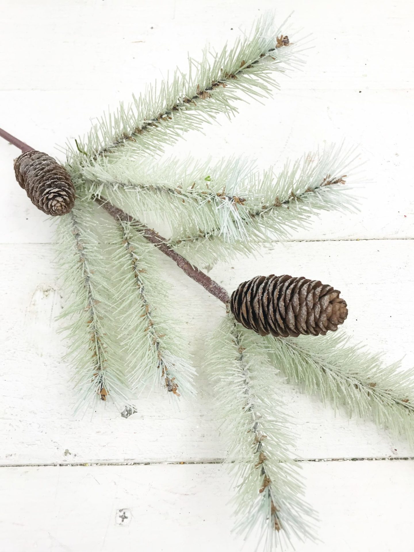 Anchorage Christmas Pine Stem - Kelea's Florals